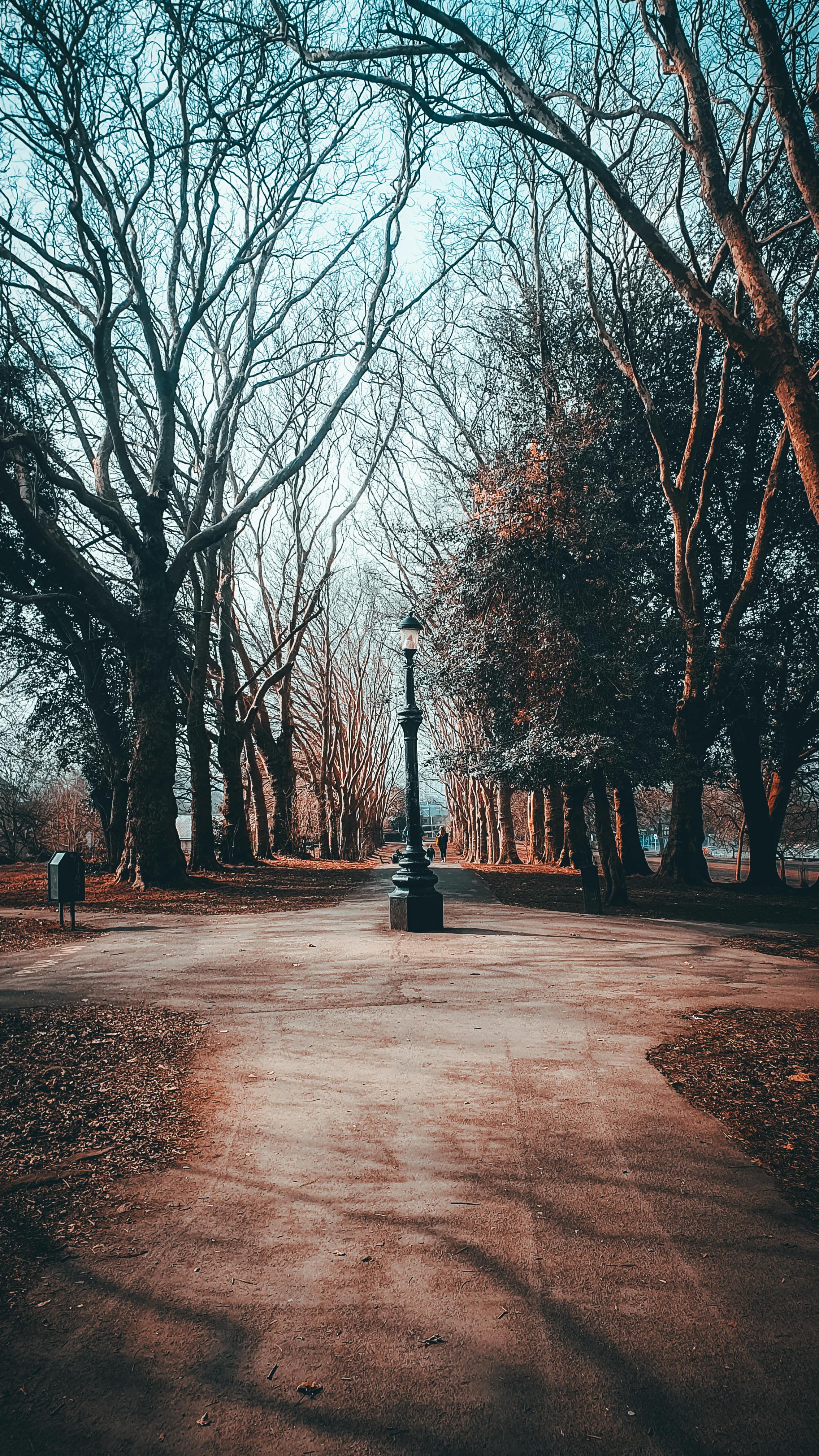St George Park in Bristol · Free Stock Photo