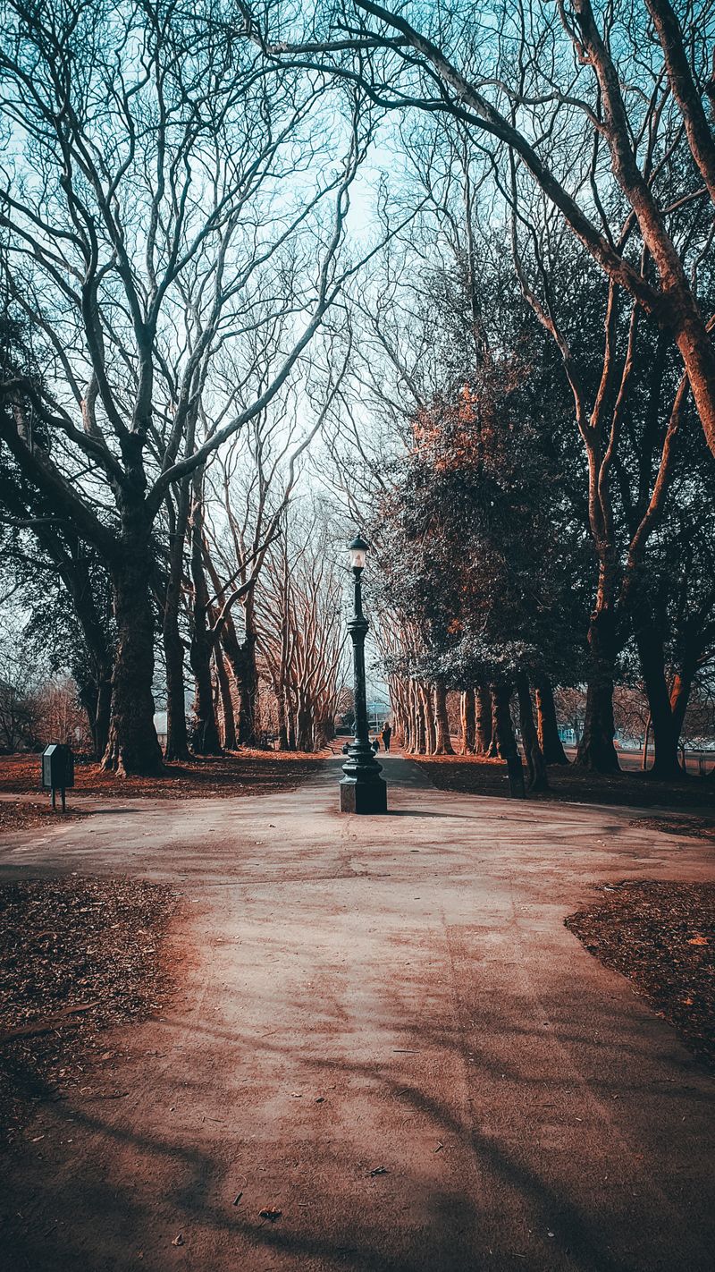 Park Scene Photos, Download The BEST Free Park Scene Stock Photos & HD ...