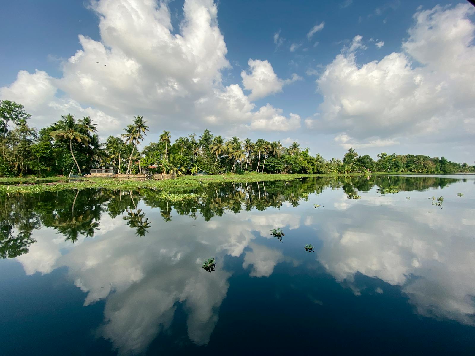 Tropical Nature Photos, Download The BEST Free Tropical Nature Stock ...