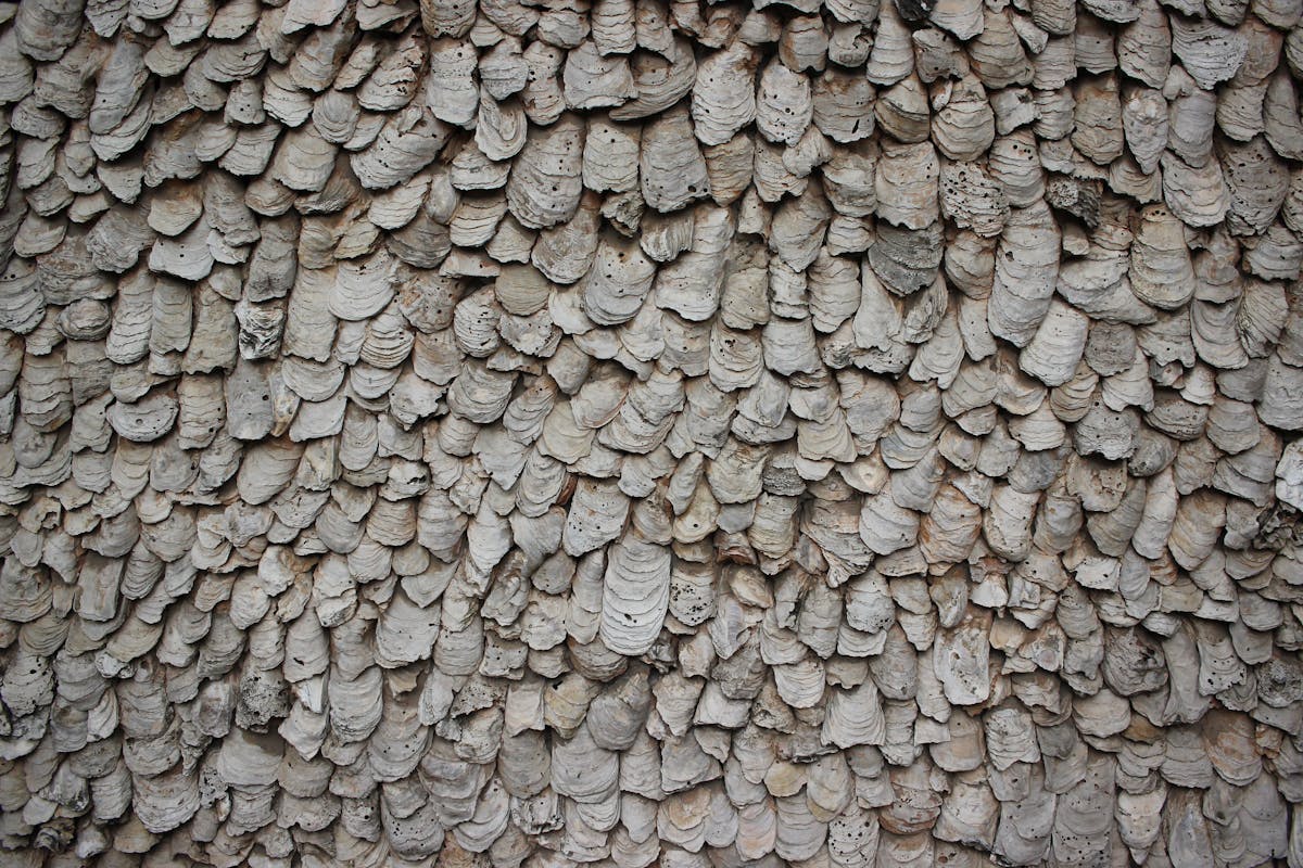 Kitchen Wall Texture Photos, Download The BEST Free Kitchen Wall ...