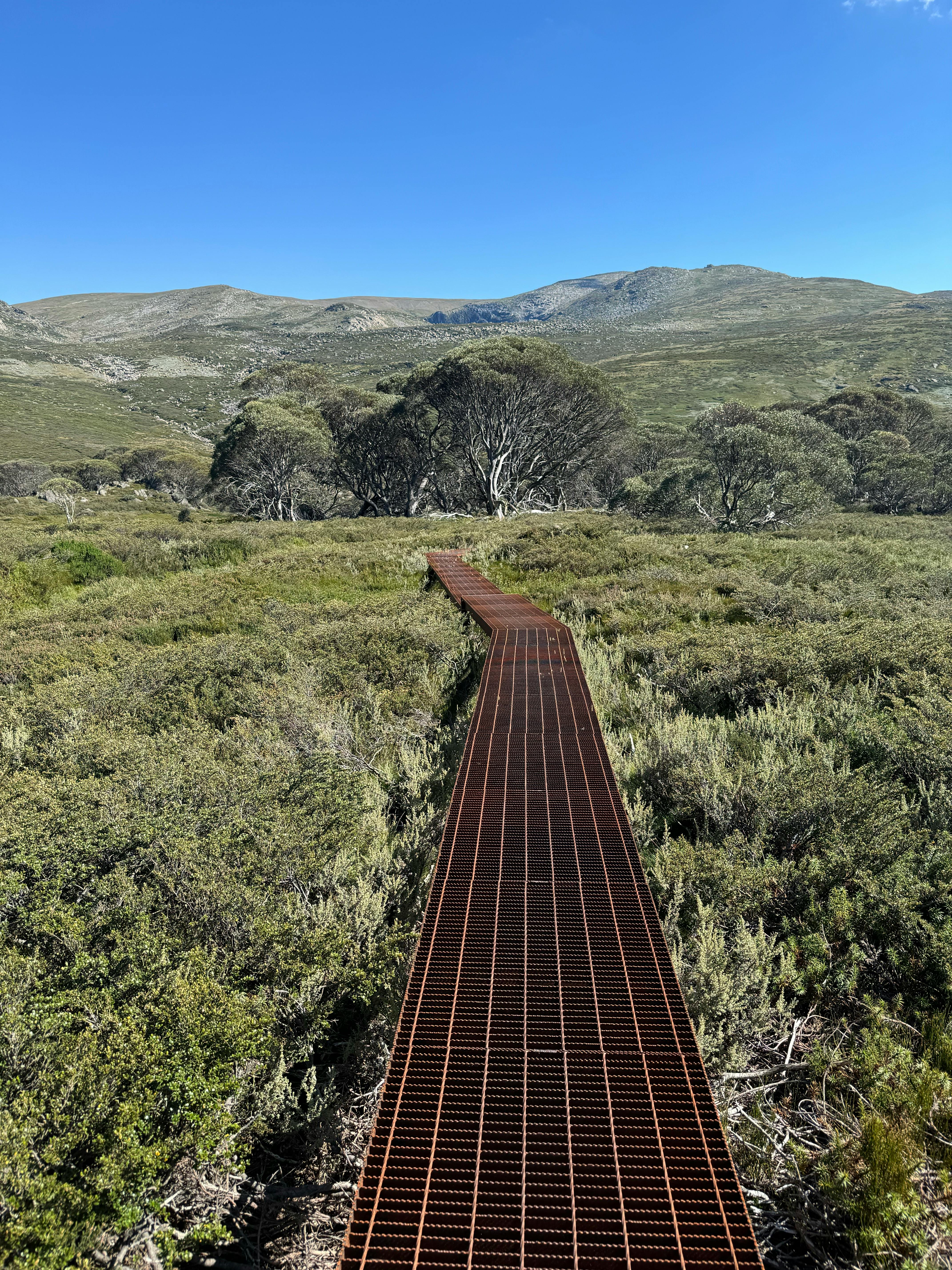 Iconic Golden Gate Bridge Under Bright Sky · Free Stock Photo
