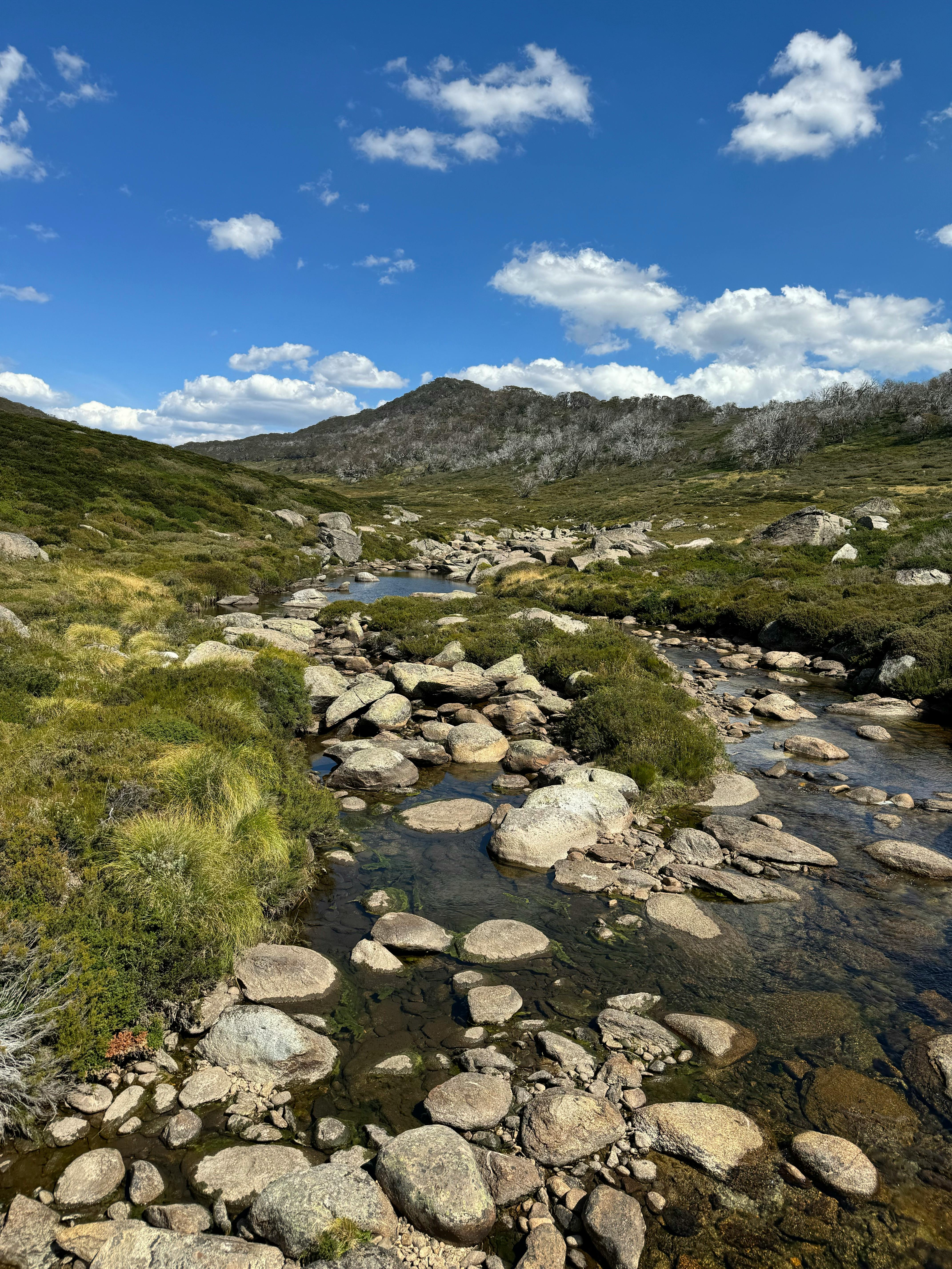 View of a Rocky Stream in Mountains in New South Wales, Australia ...