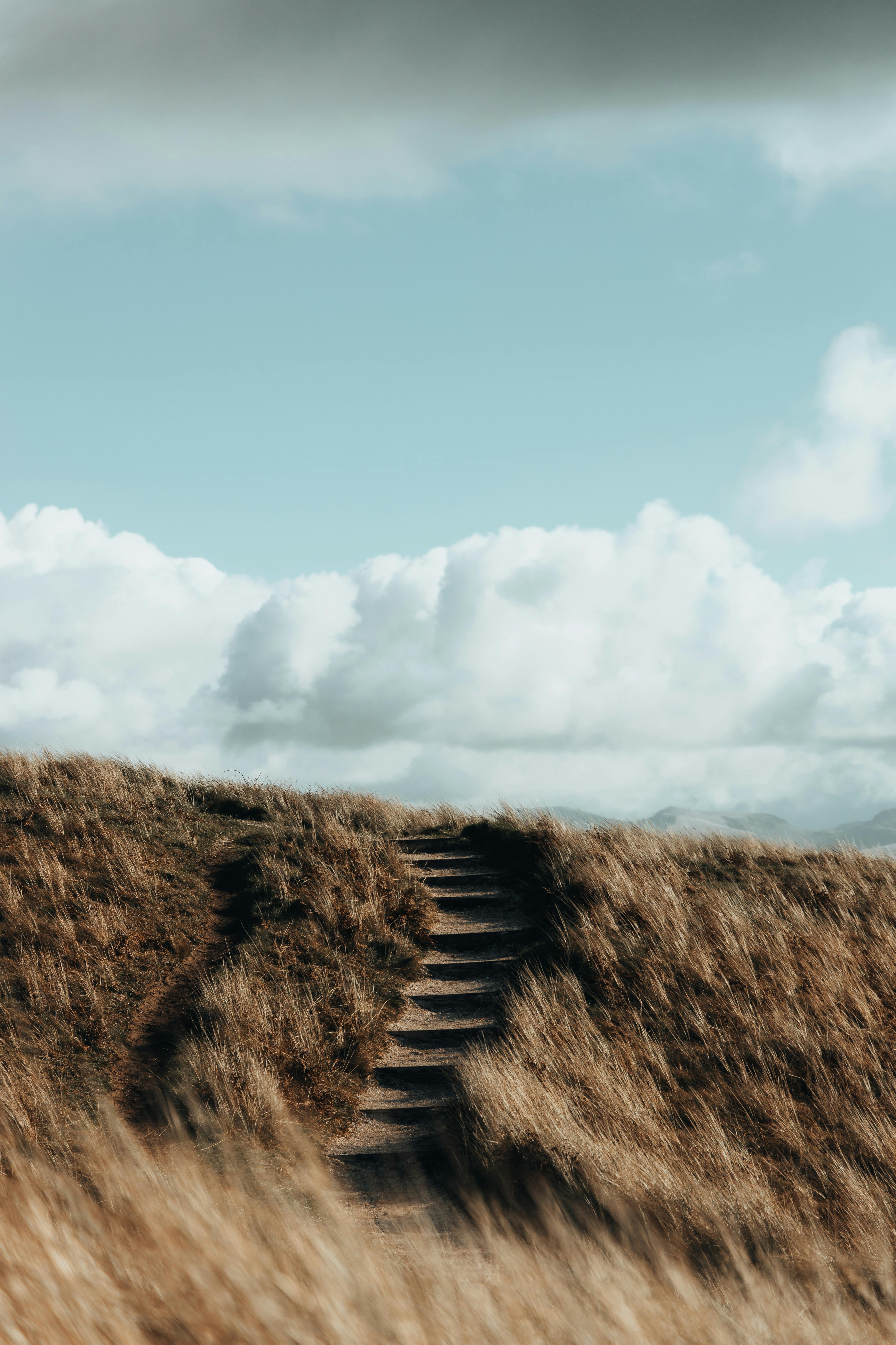 Footpath with Steps in a Dry Grass Field, and Clouds in a Pastel Blue ...