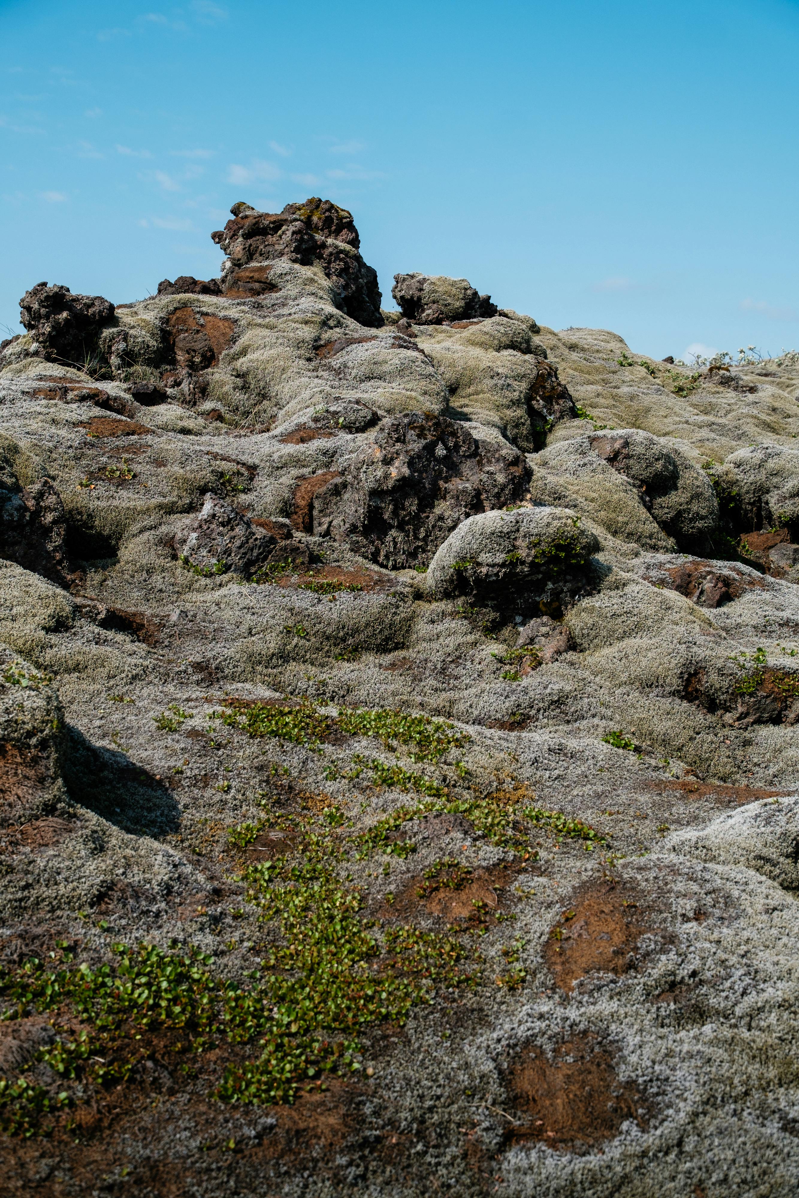 Hill with Rocks · Free Stock Photo