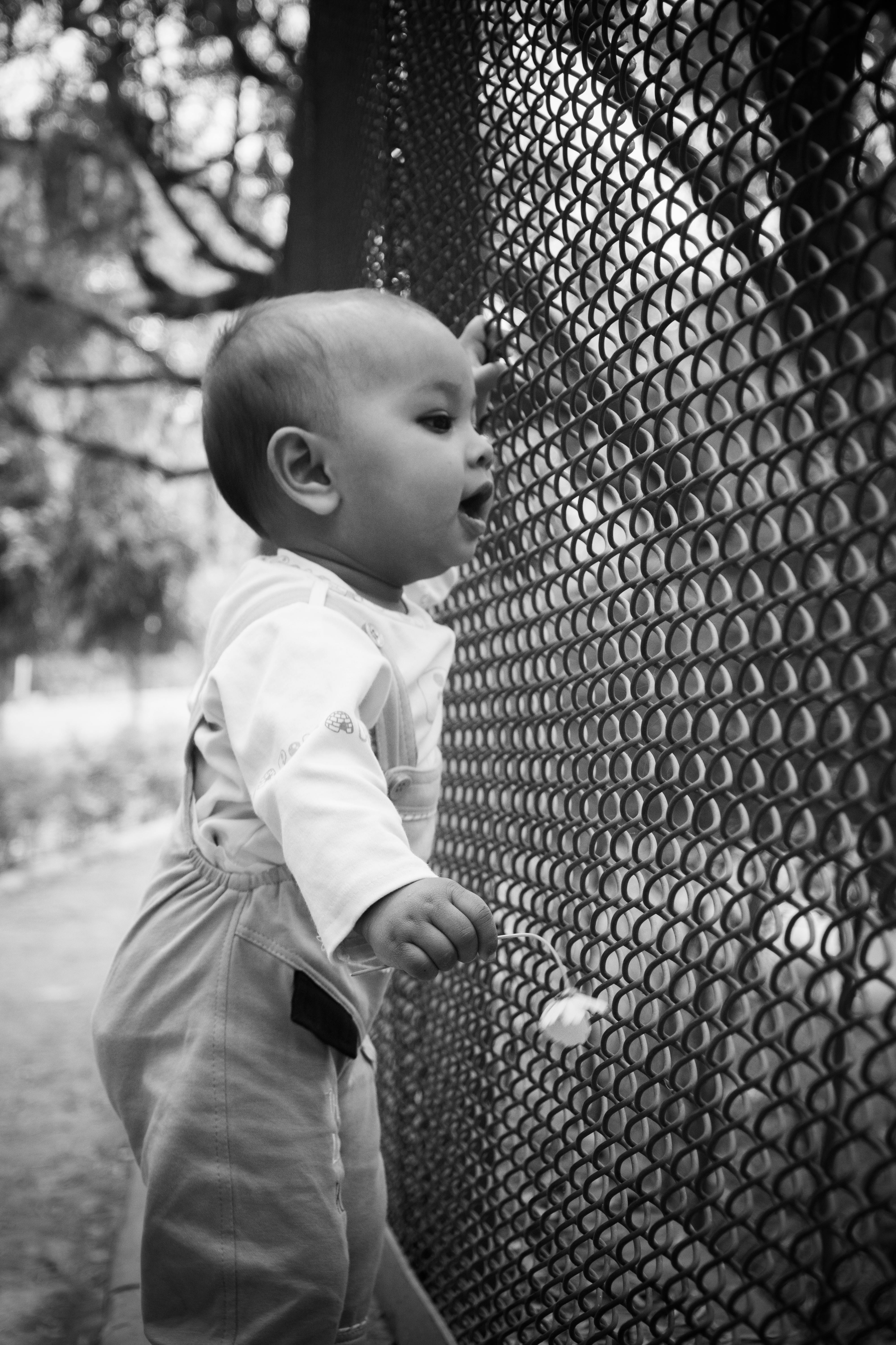 Child Peeking Through the Fence · Free Stock Photo