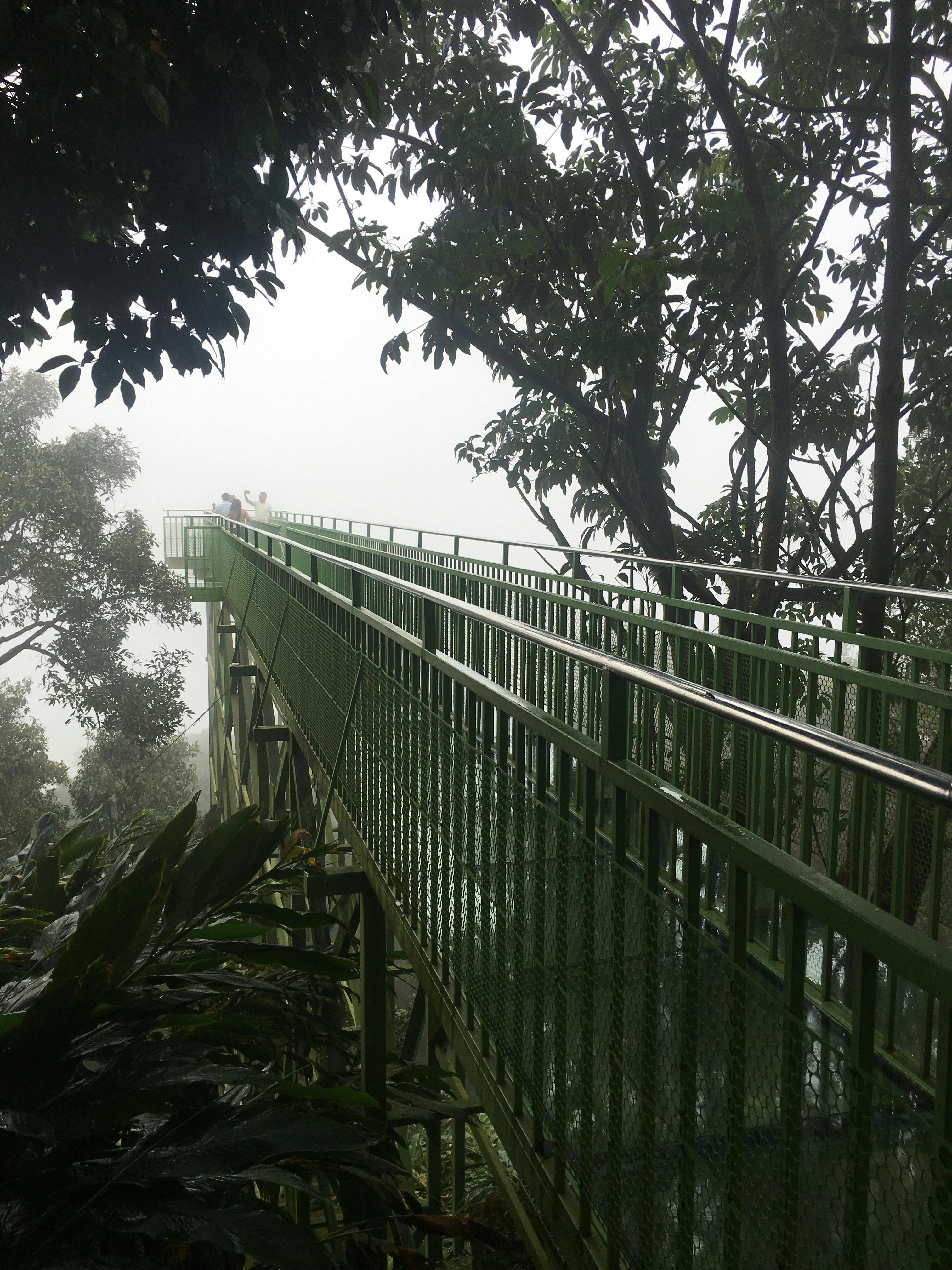 Wayanad Photos, Download The BEST Free Wayanad Stock Photos & HD Images