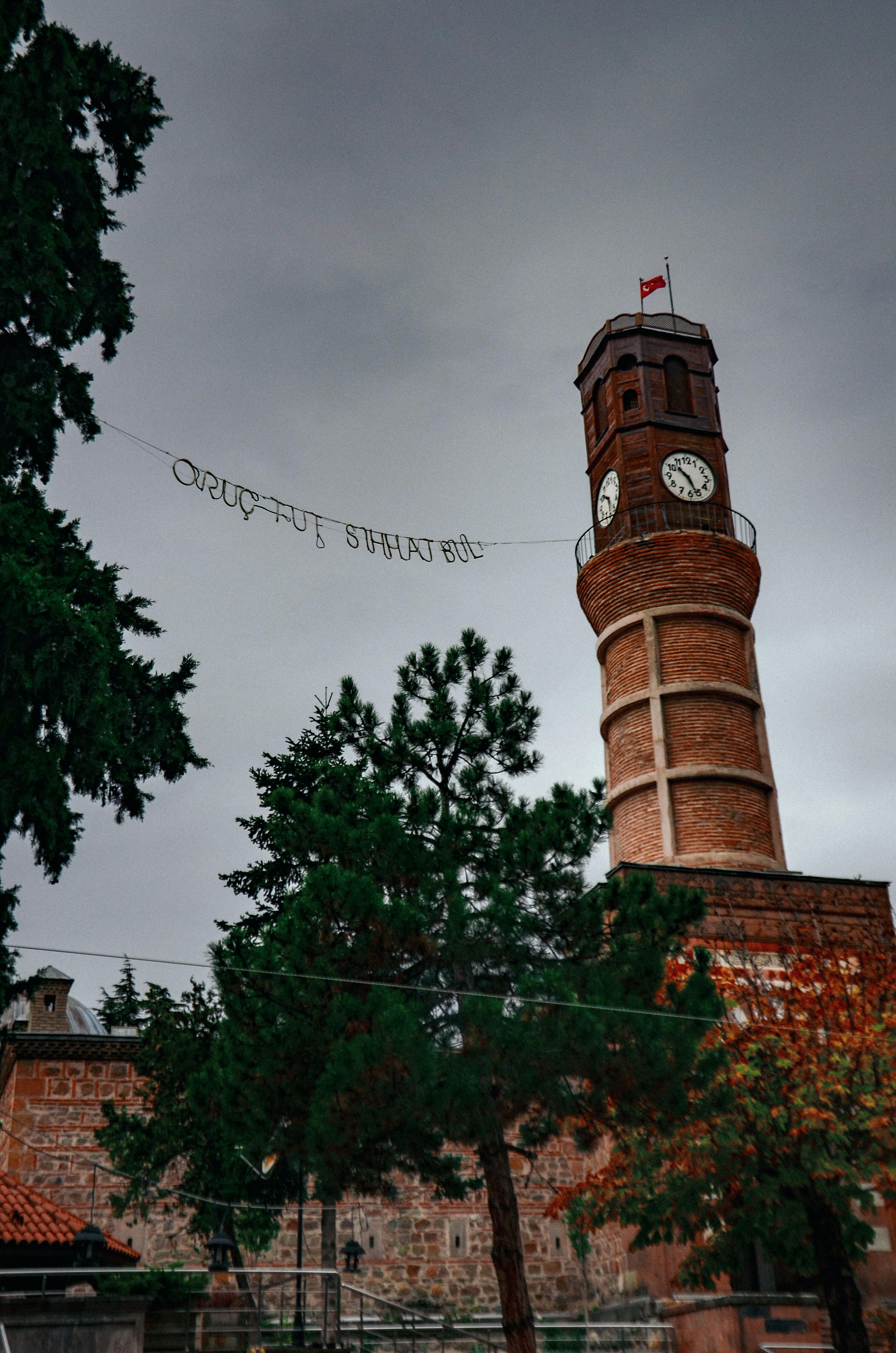 Aleyna Demir — Фотография