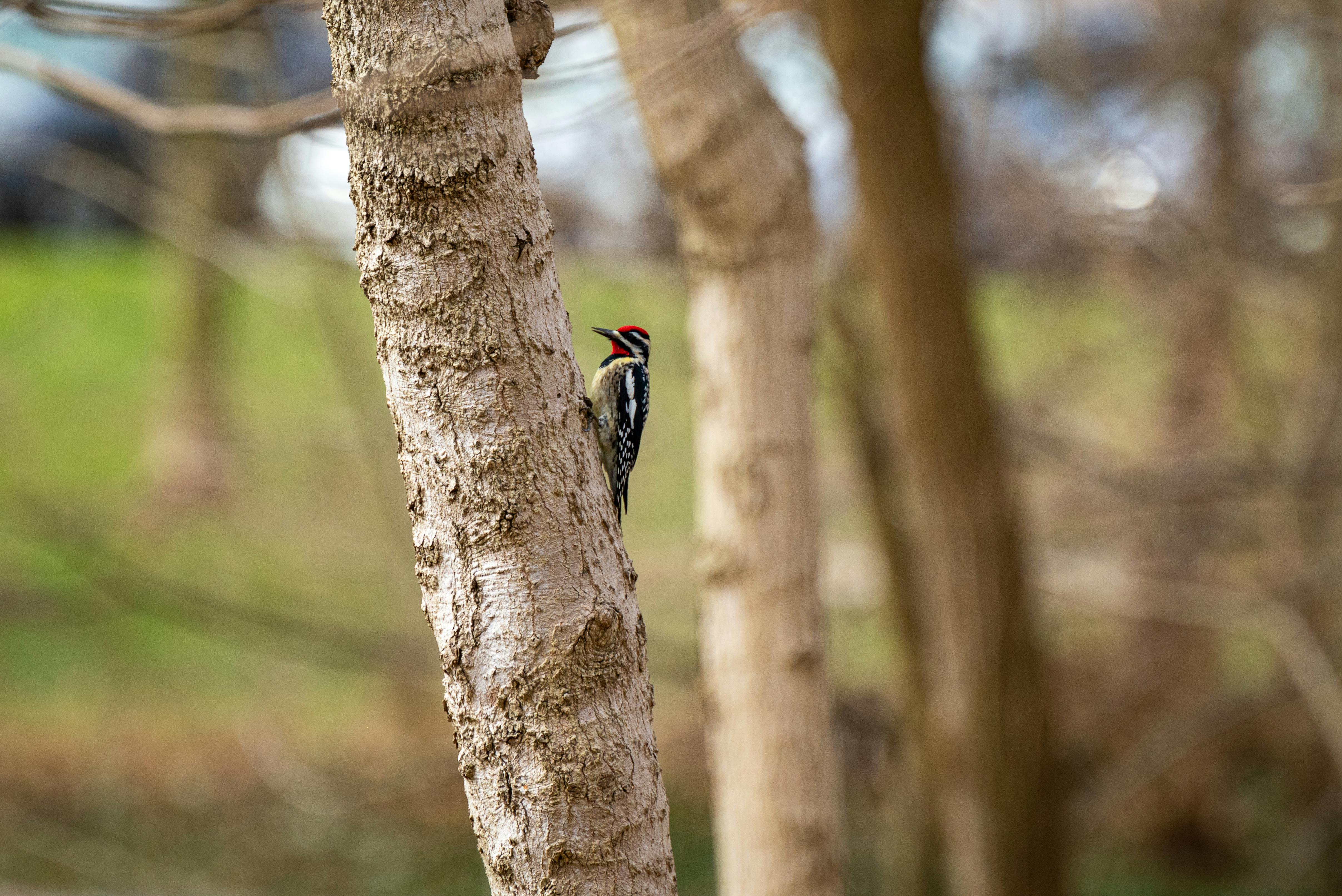 Chris F - Photography