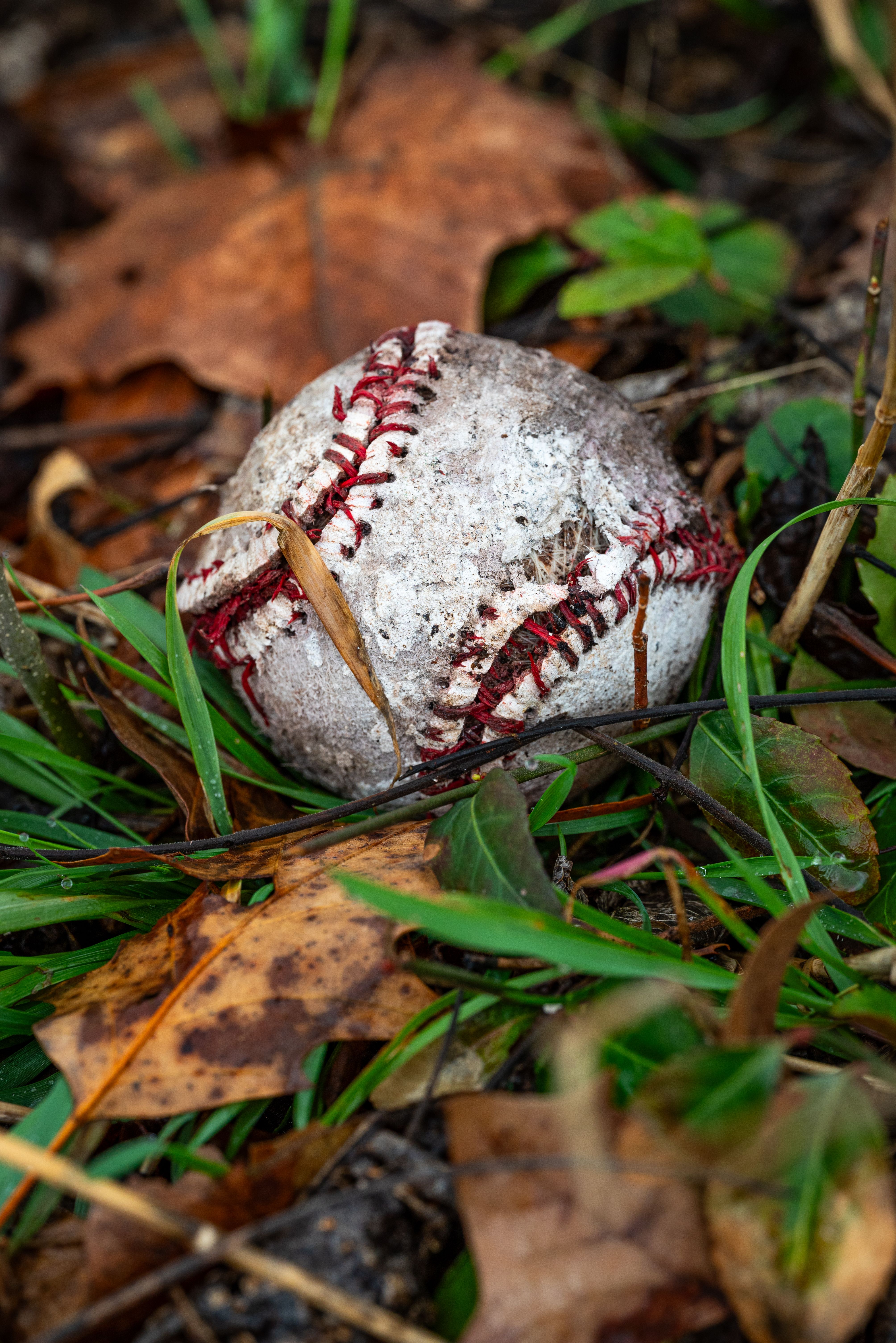 Baseball Ball on Ground · Free Stock Photo