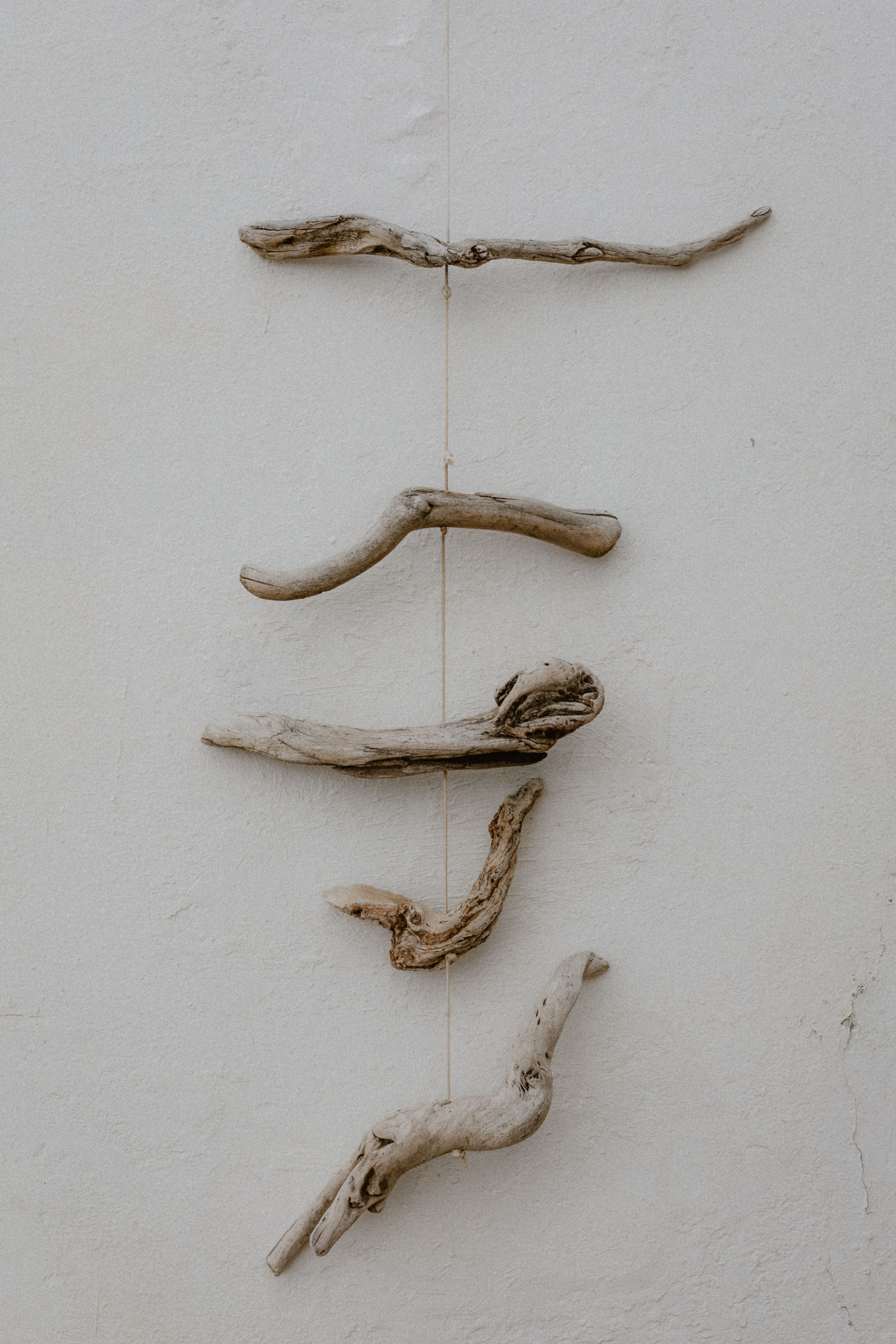 Decoration with Dried Roots · Free Stock Photo