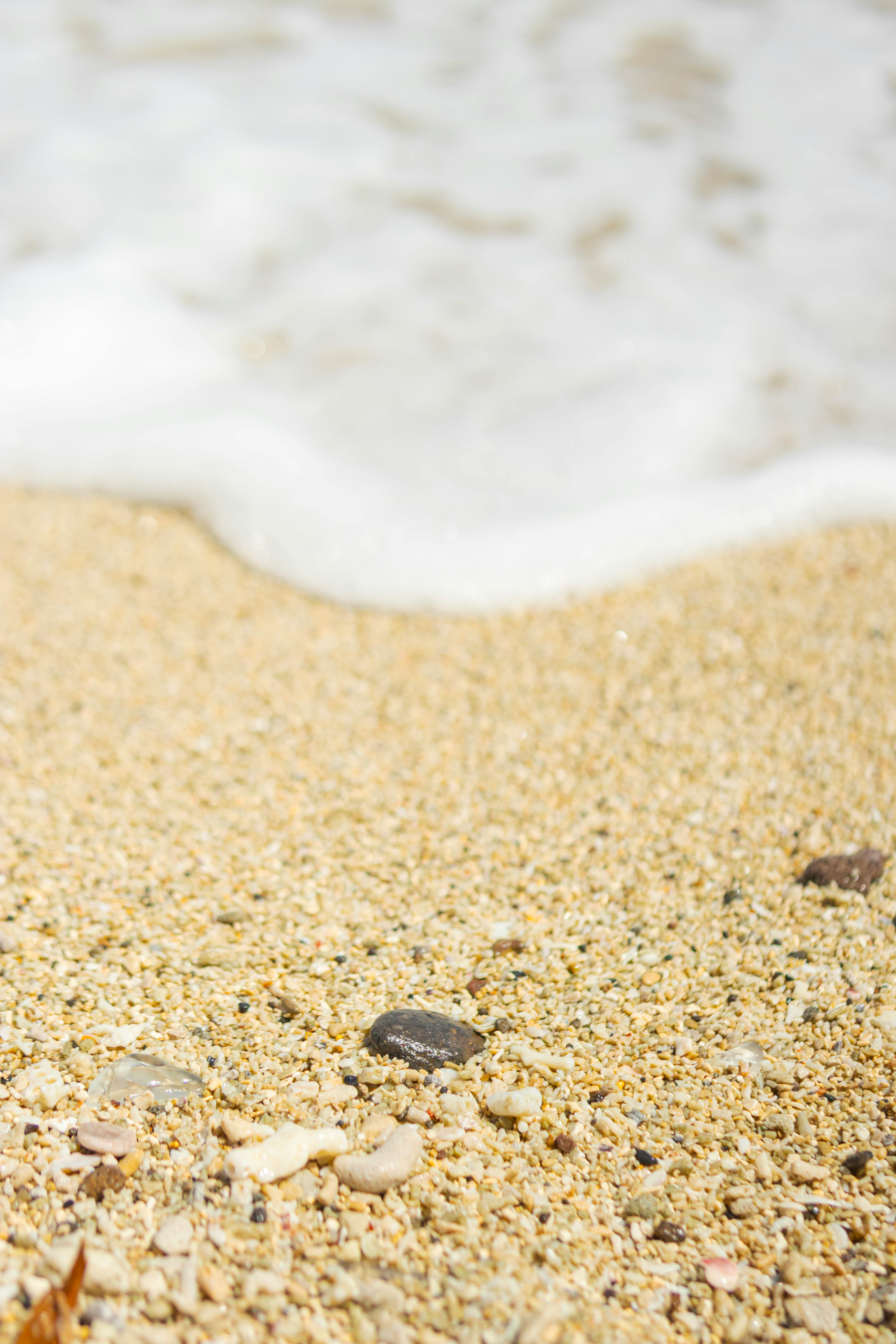 Pebbles on a Beach · Free Stock Photo