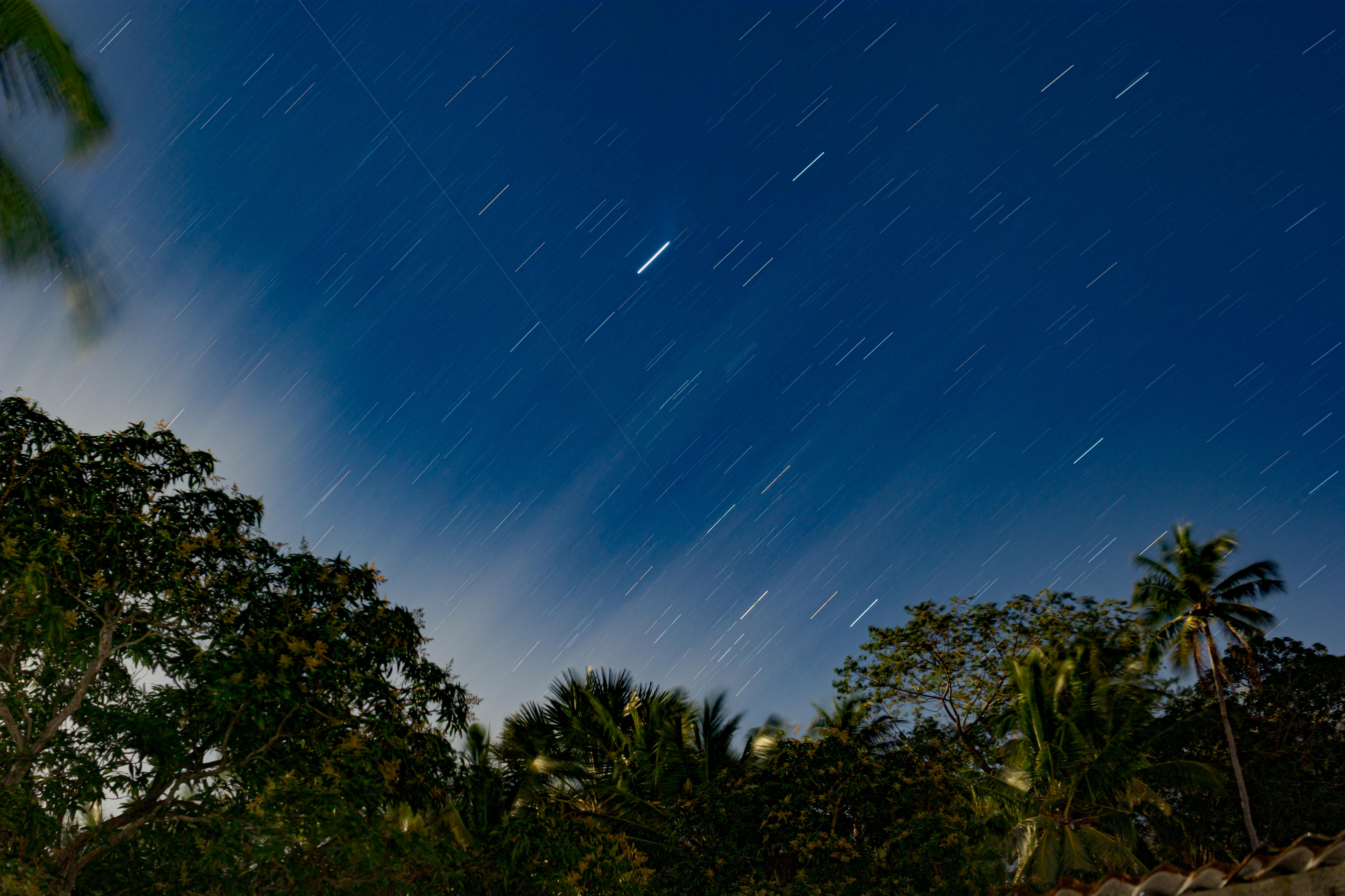 Falling Stars in Sky over Trees · Free Stock Photo