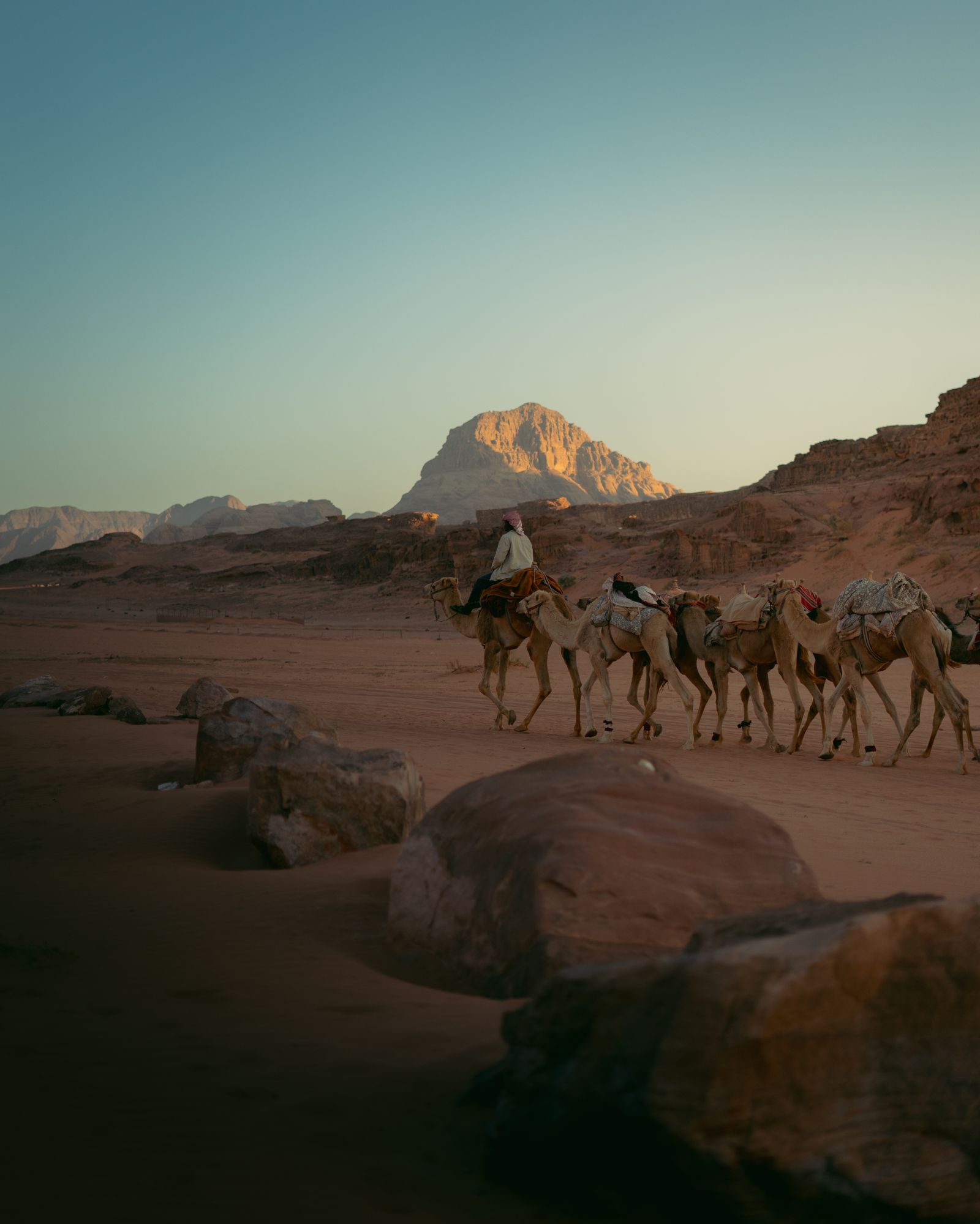 Caravan In Desert Photos, Download The BEST Free Caravan In Desert ...