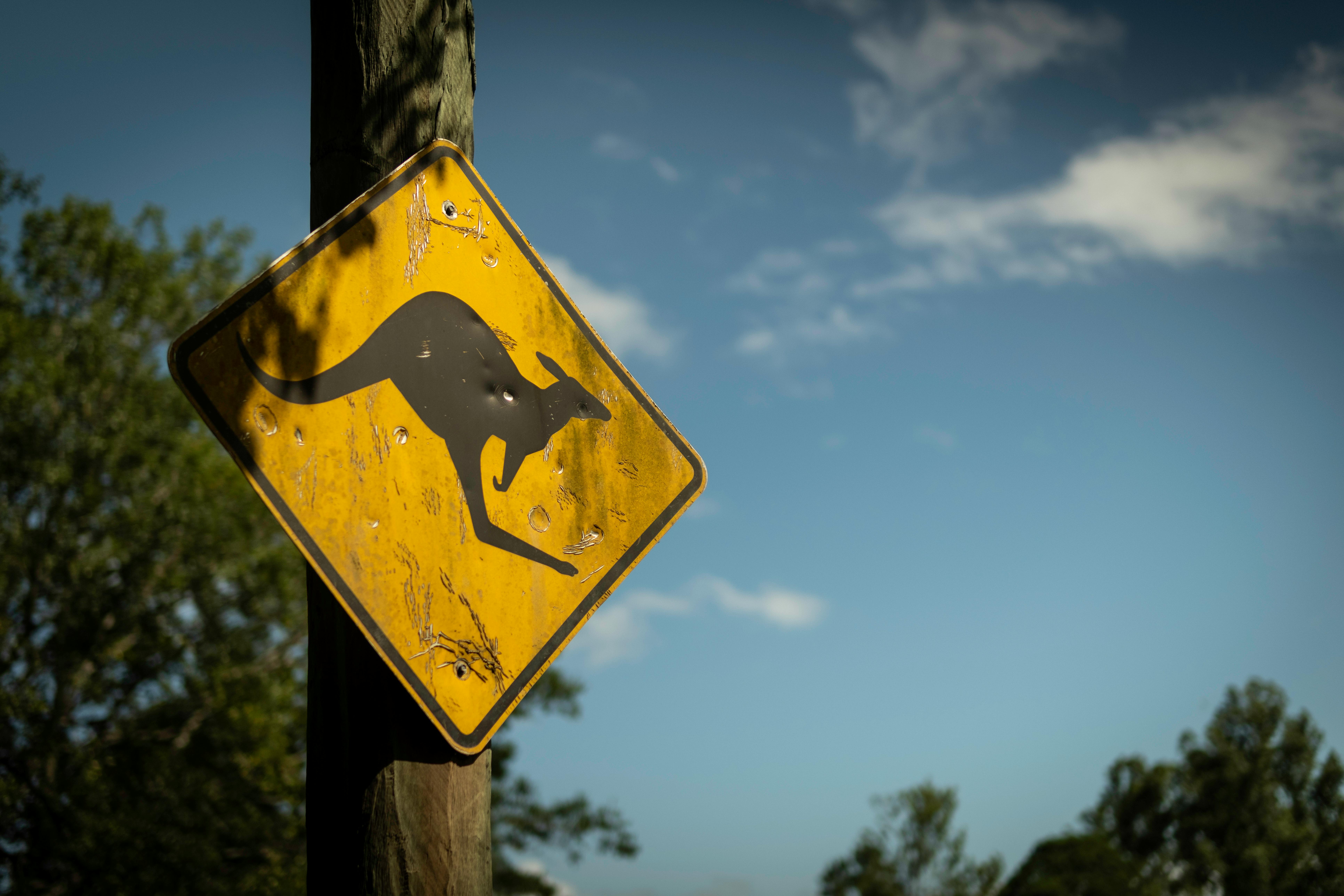 A kangaroo crossing sign on a pole · Free Stock Photo