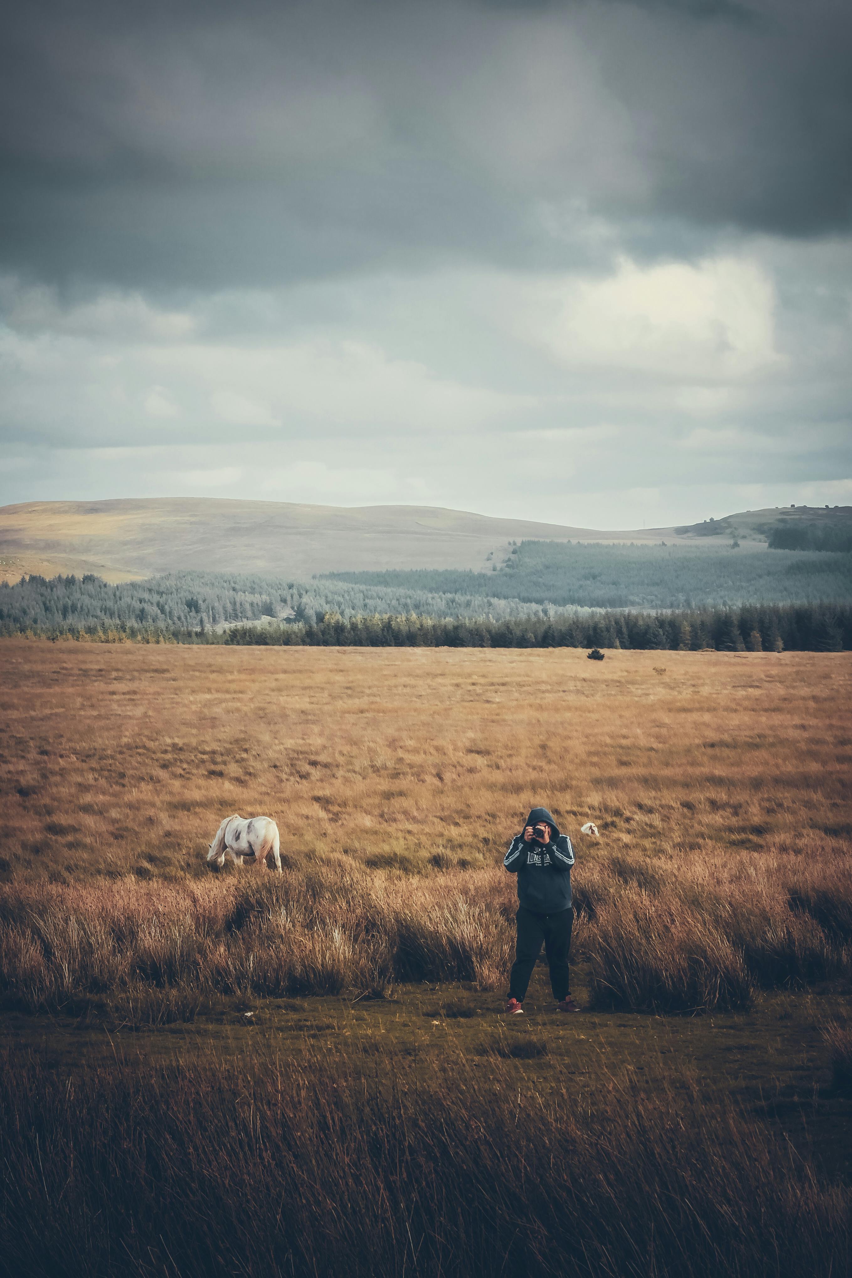 Horse Pictures Wester Photos, Download The BEST Free Horse Pictures ...