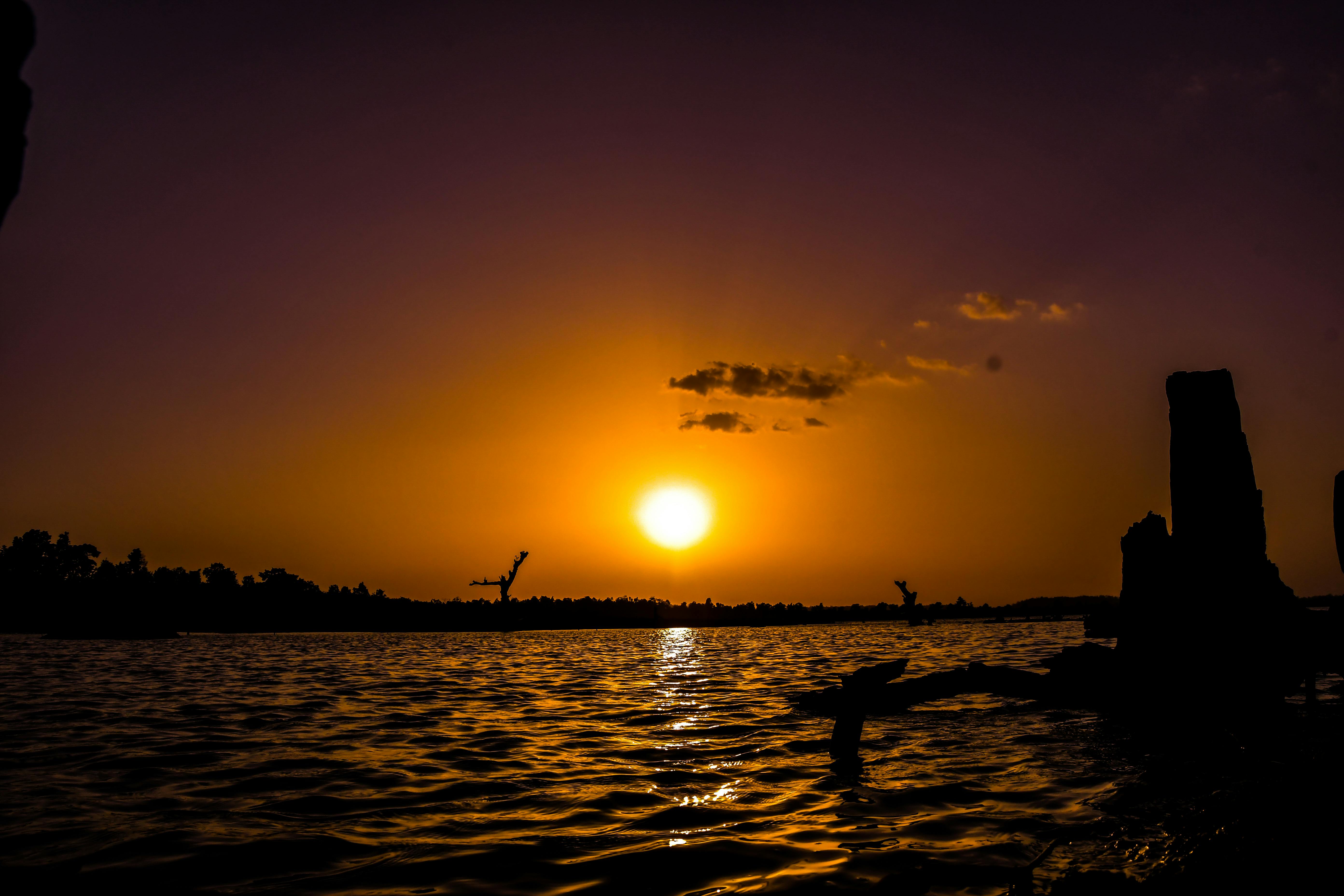 Free stock photo of aerial photography, green, leaf hat