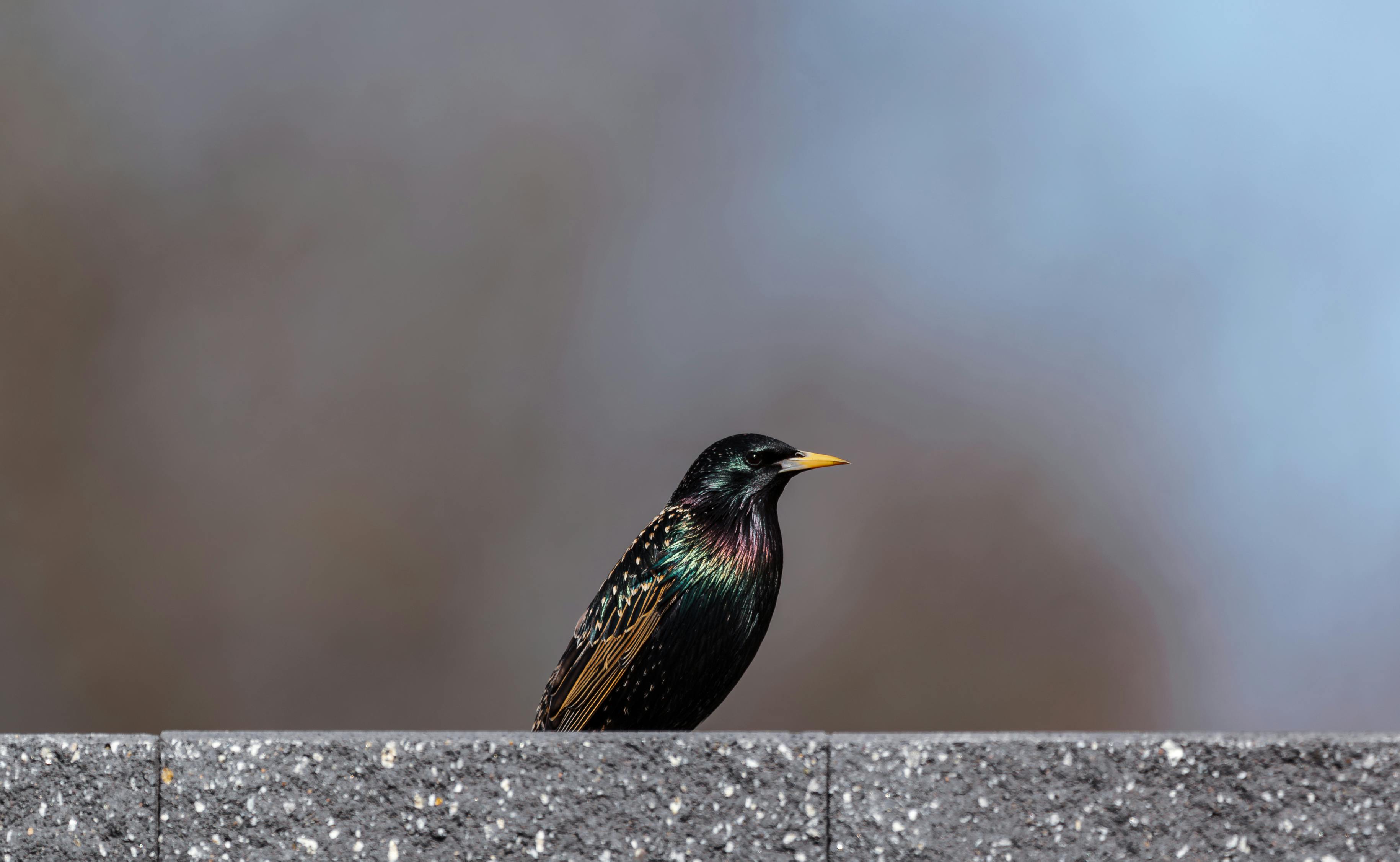 Wall Animation Photos, Download The BEST Free Wall Animation Stock ...