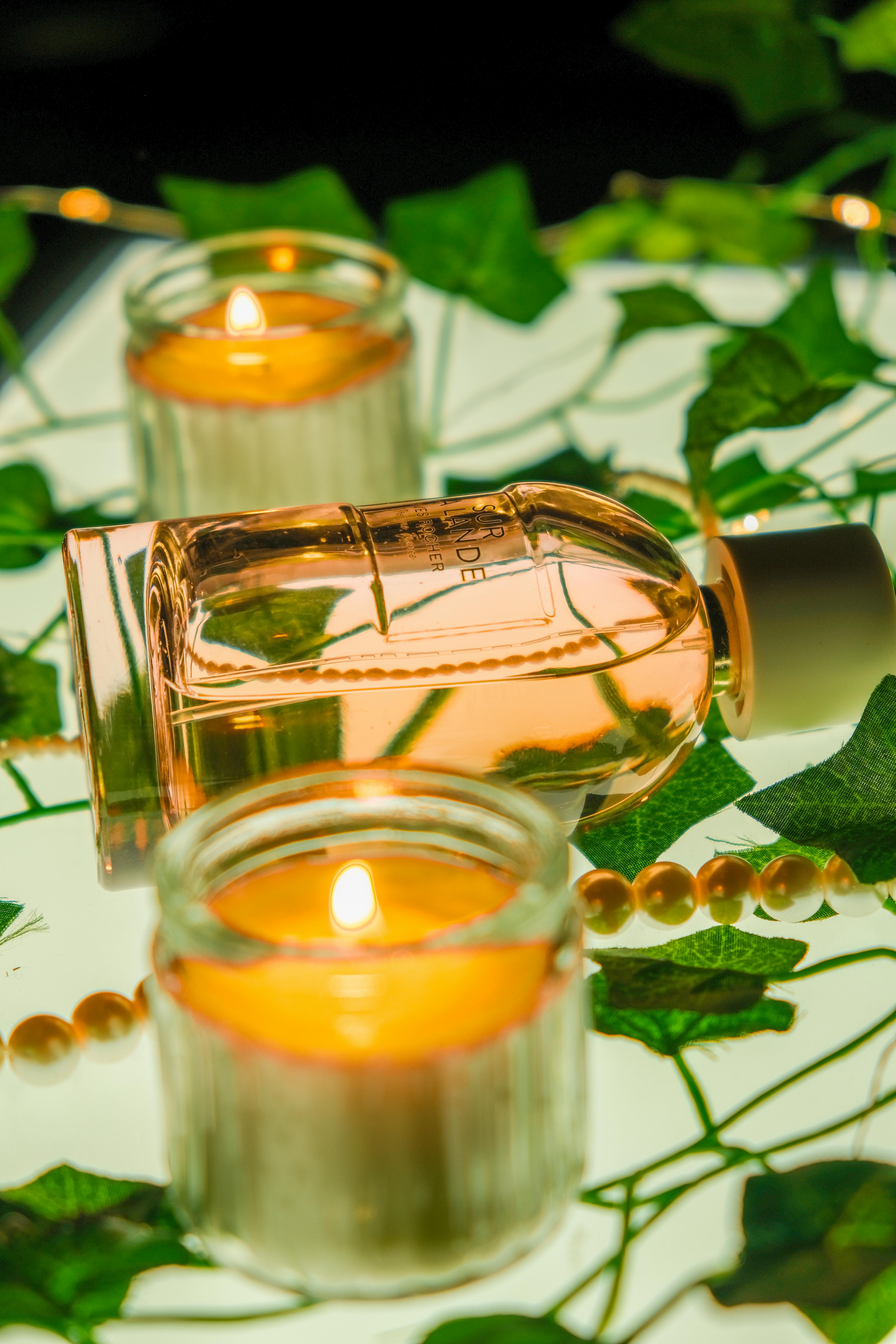 Foto de stock gratuita sobre frasco, hiedra, hojas, iluminado, lujo ...