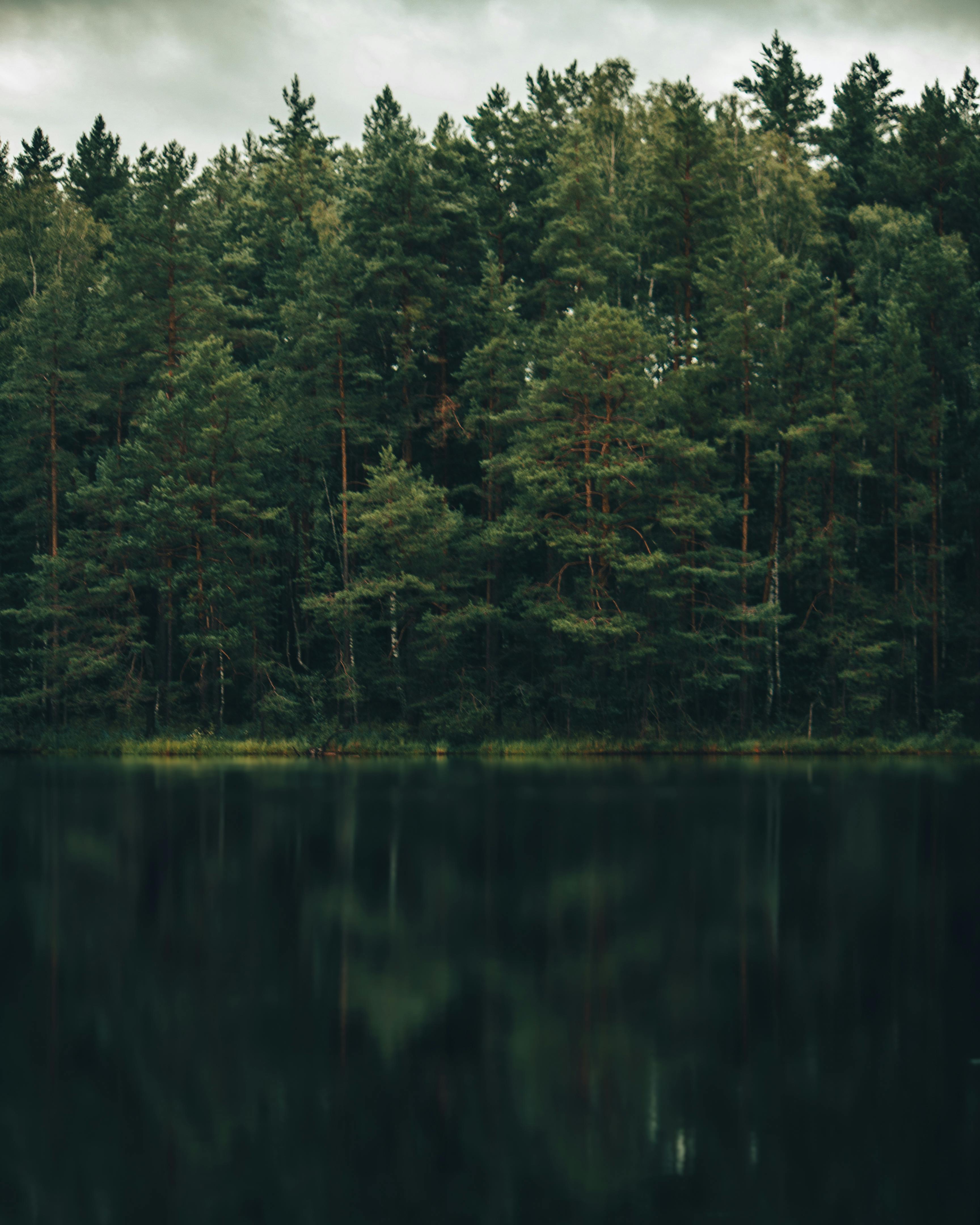 Las Las Atau Perempuan Photos, Download The BEST Free Las Las Atau Perempuan Stock Photos & HD ...