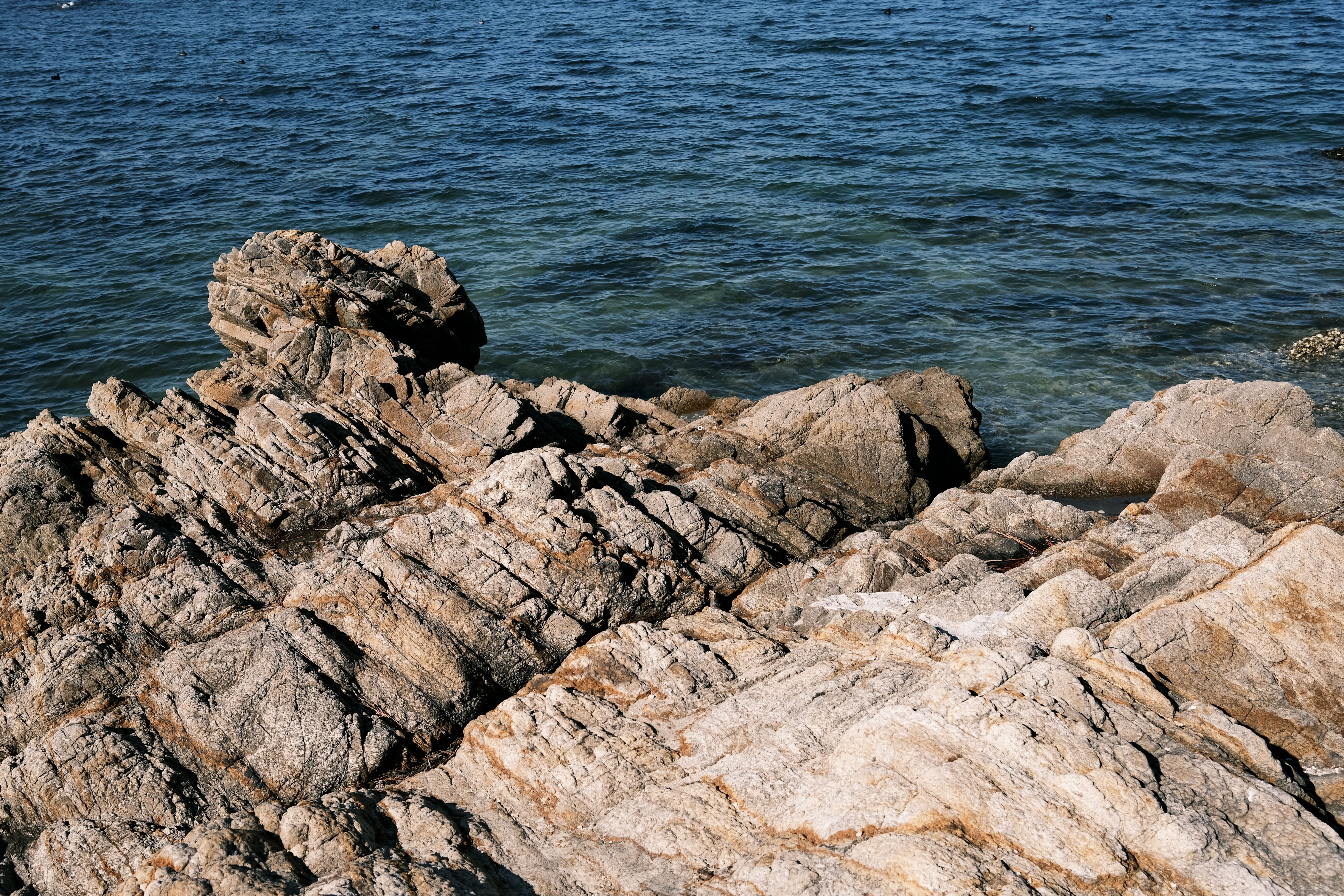 Rocks on Ocean Shore in Gamagori, Japan · Free Stock Photo