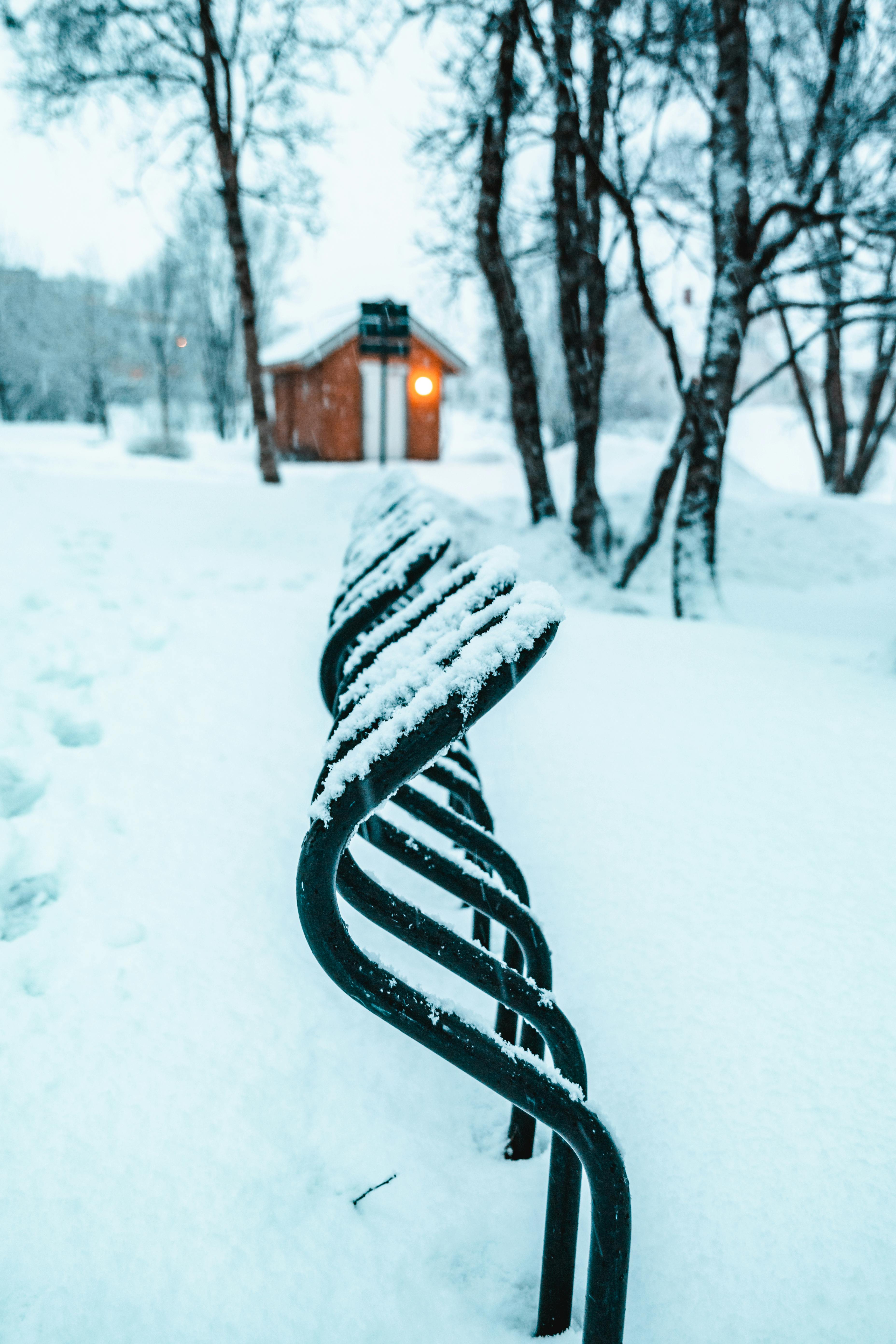 Snow Covered Metal Fence · Free Stock Photo