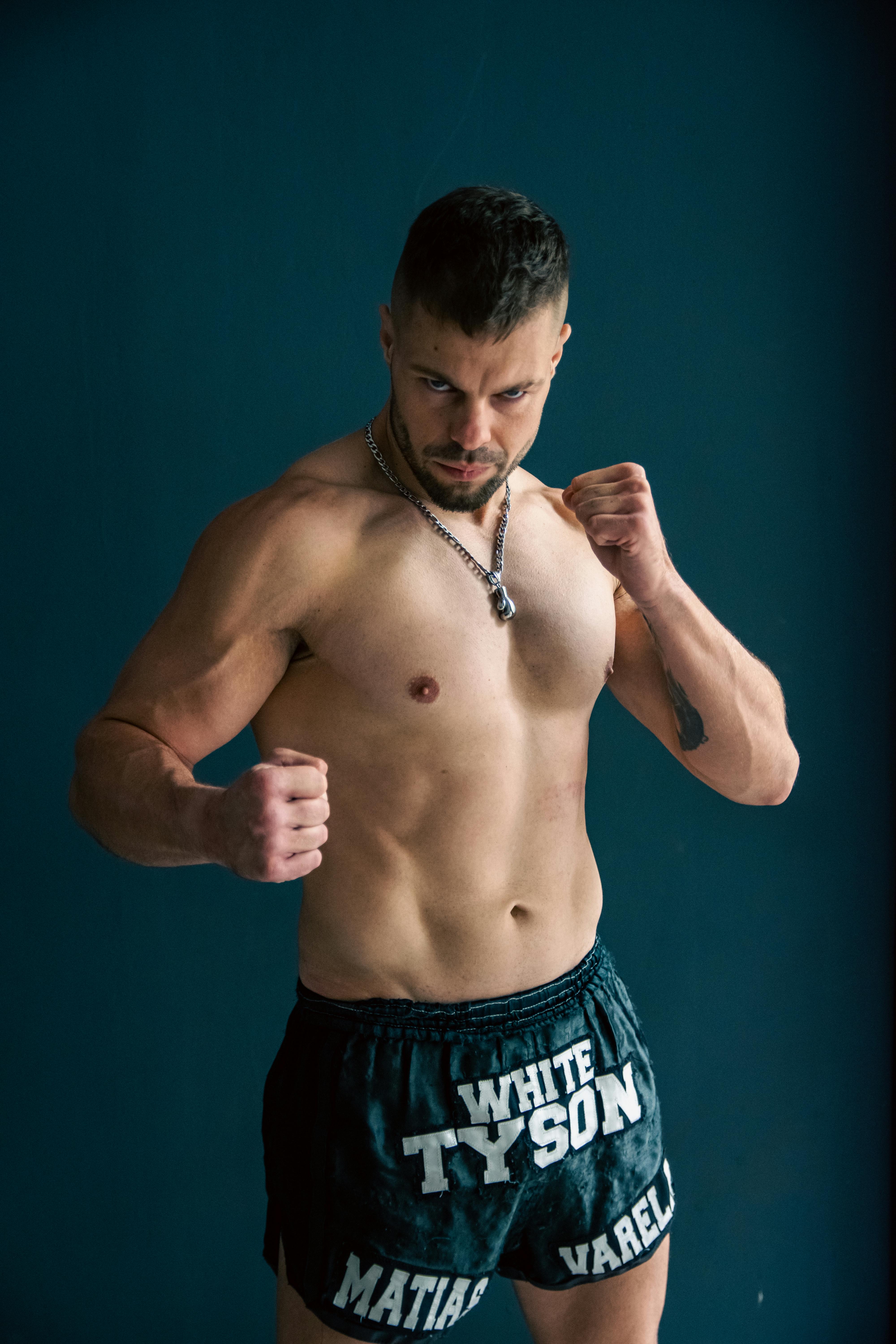 Portrait of Boxer · Free Stock Photo
