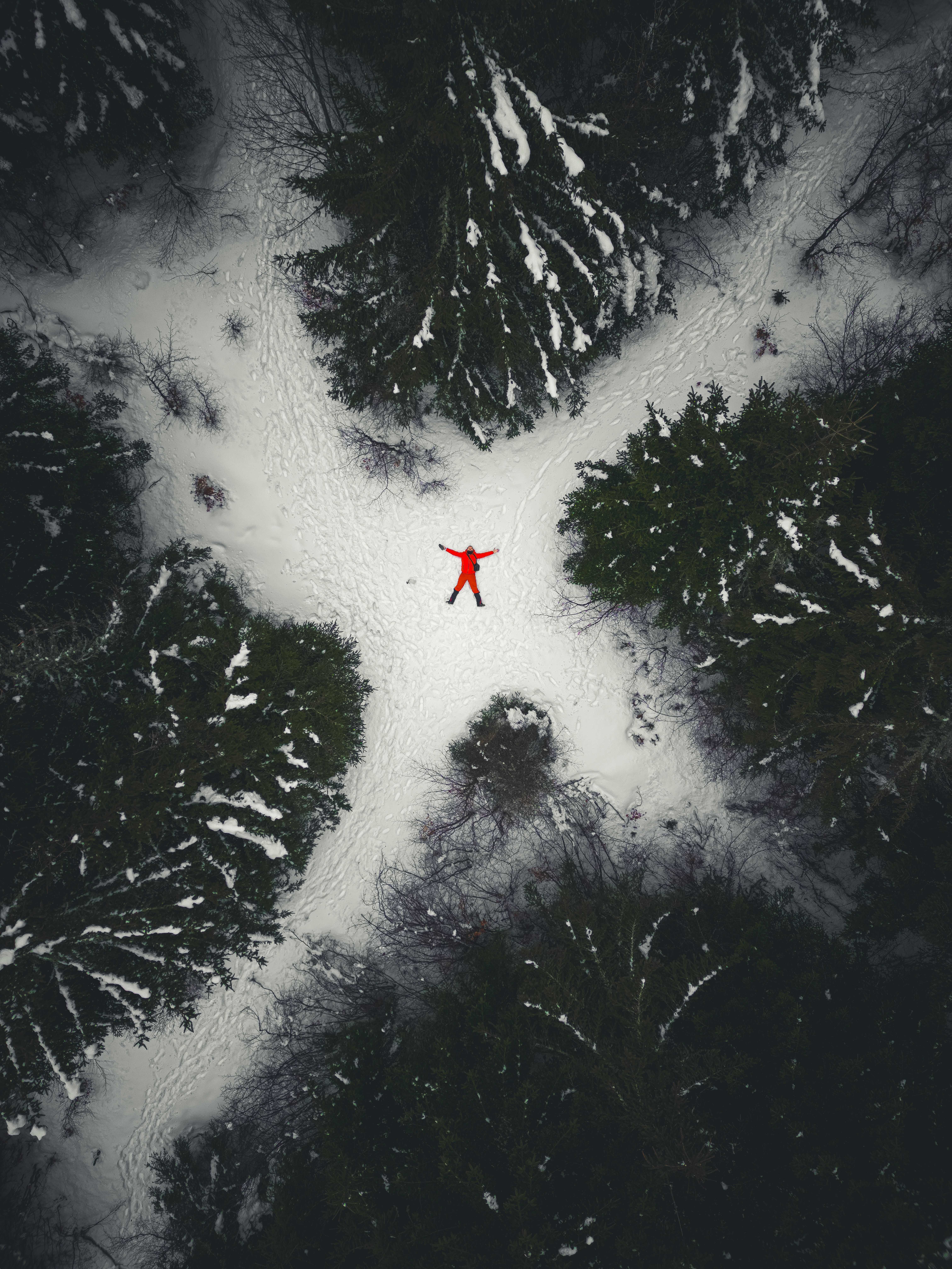 Birds Eye View Person