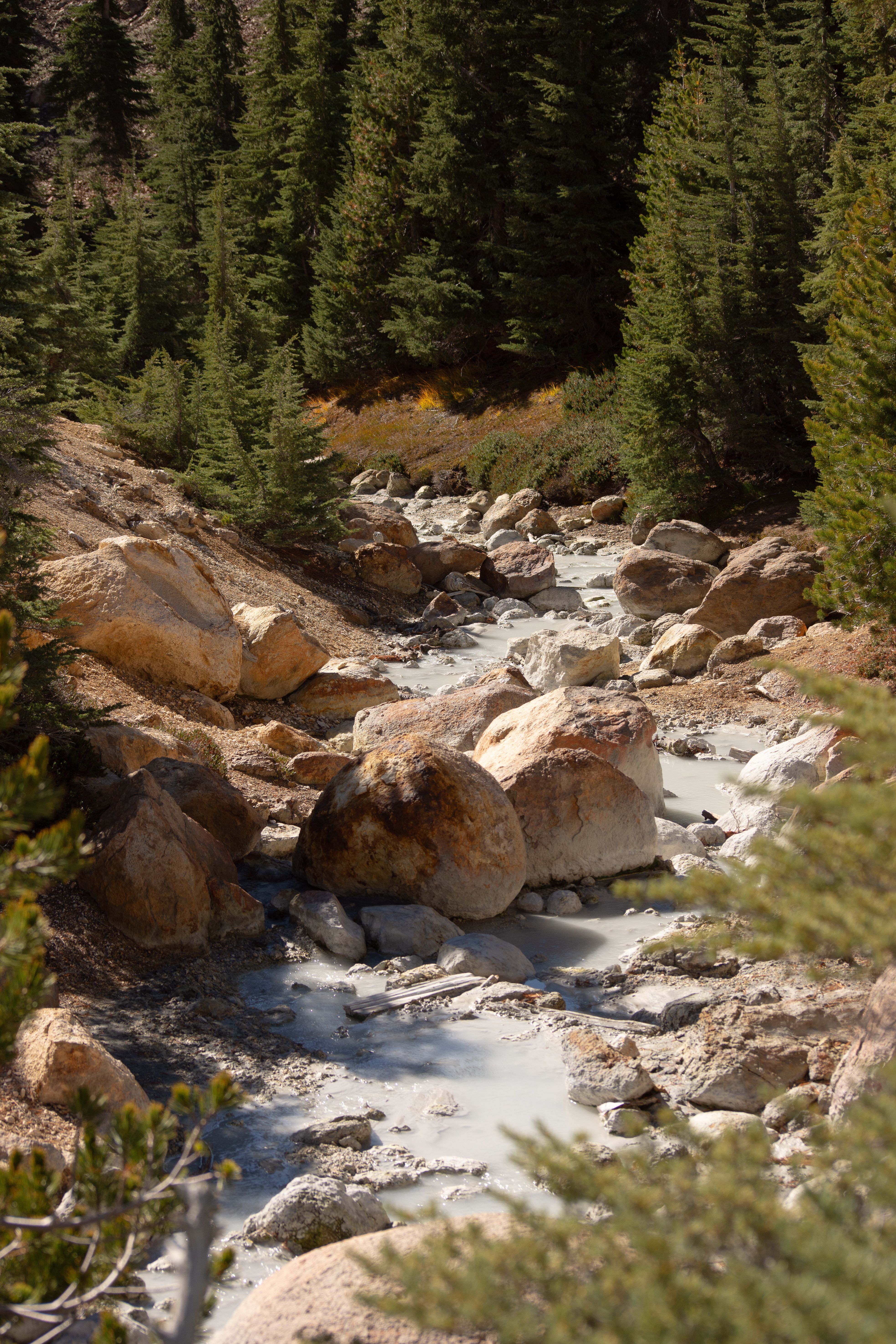 Stones in a Dried-up Stream Bed · Free Stock Photo