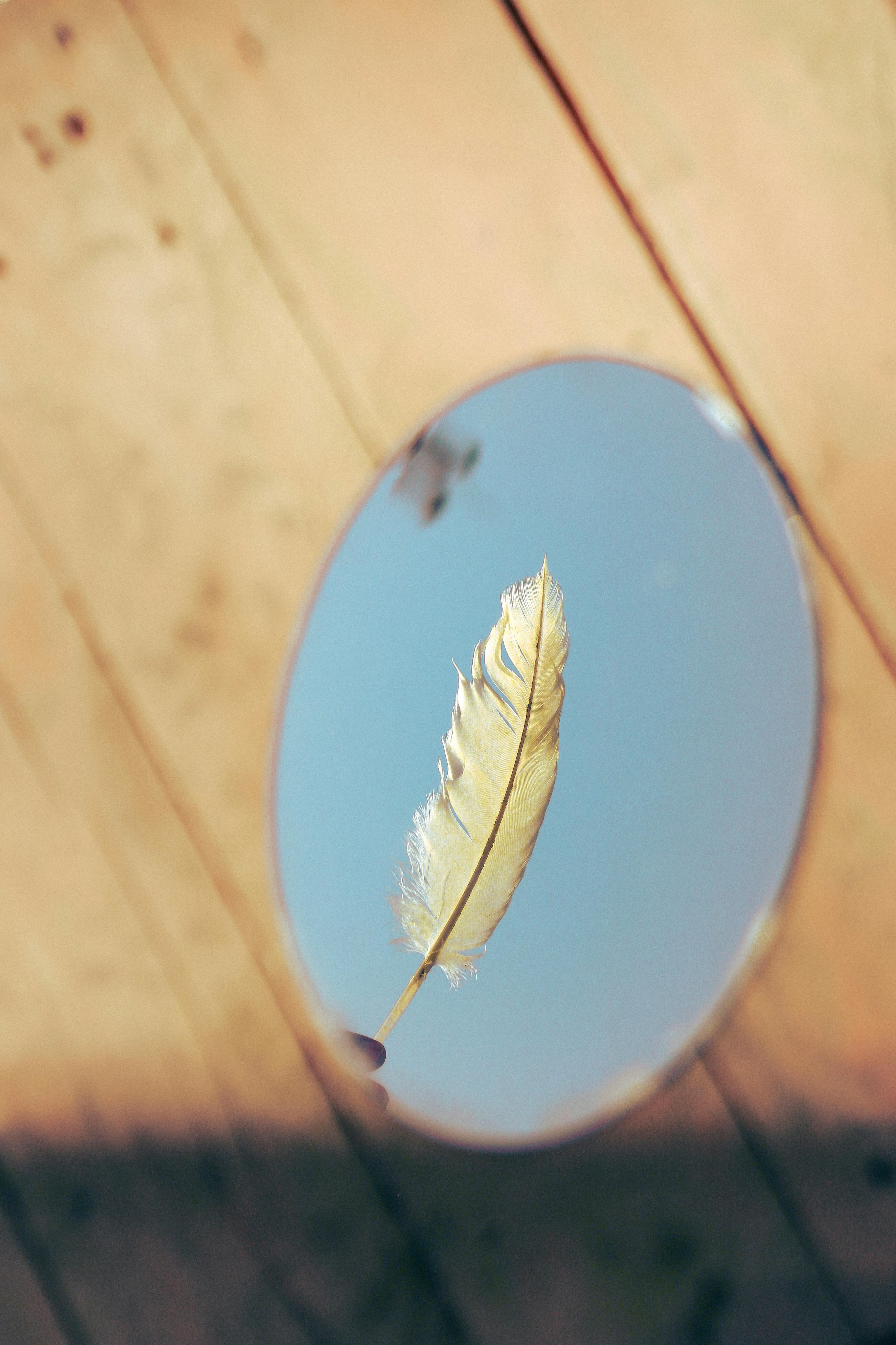 Minimal Feather Photos, Download The BEST Free Minimal Feather Stock ...