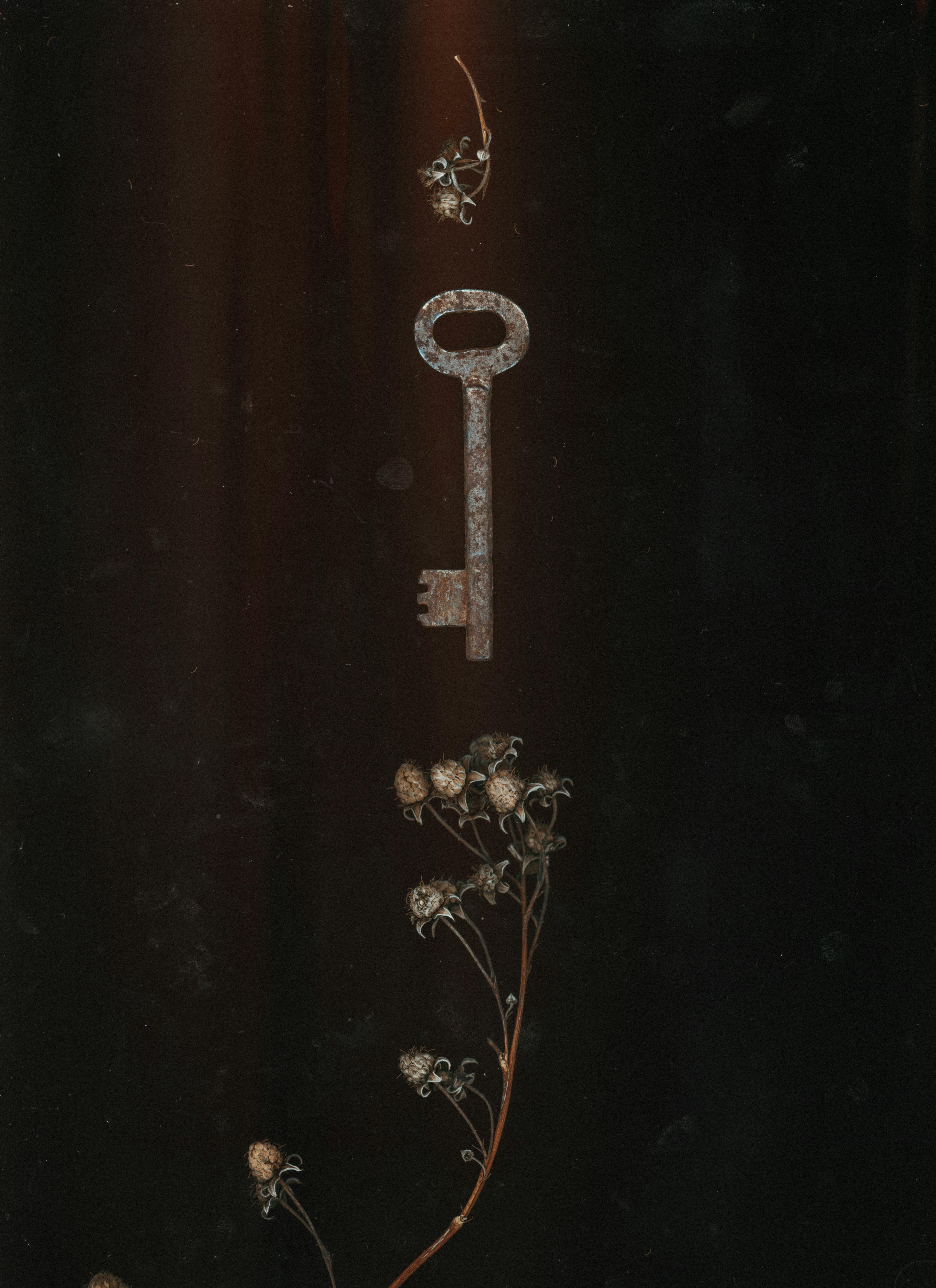 A Key and a Metal Flower Decoration · Free Stock Photo