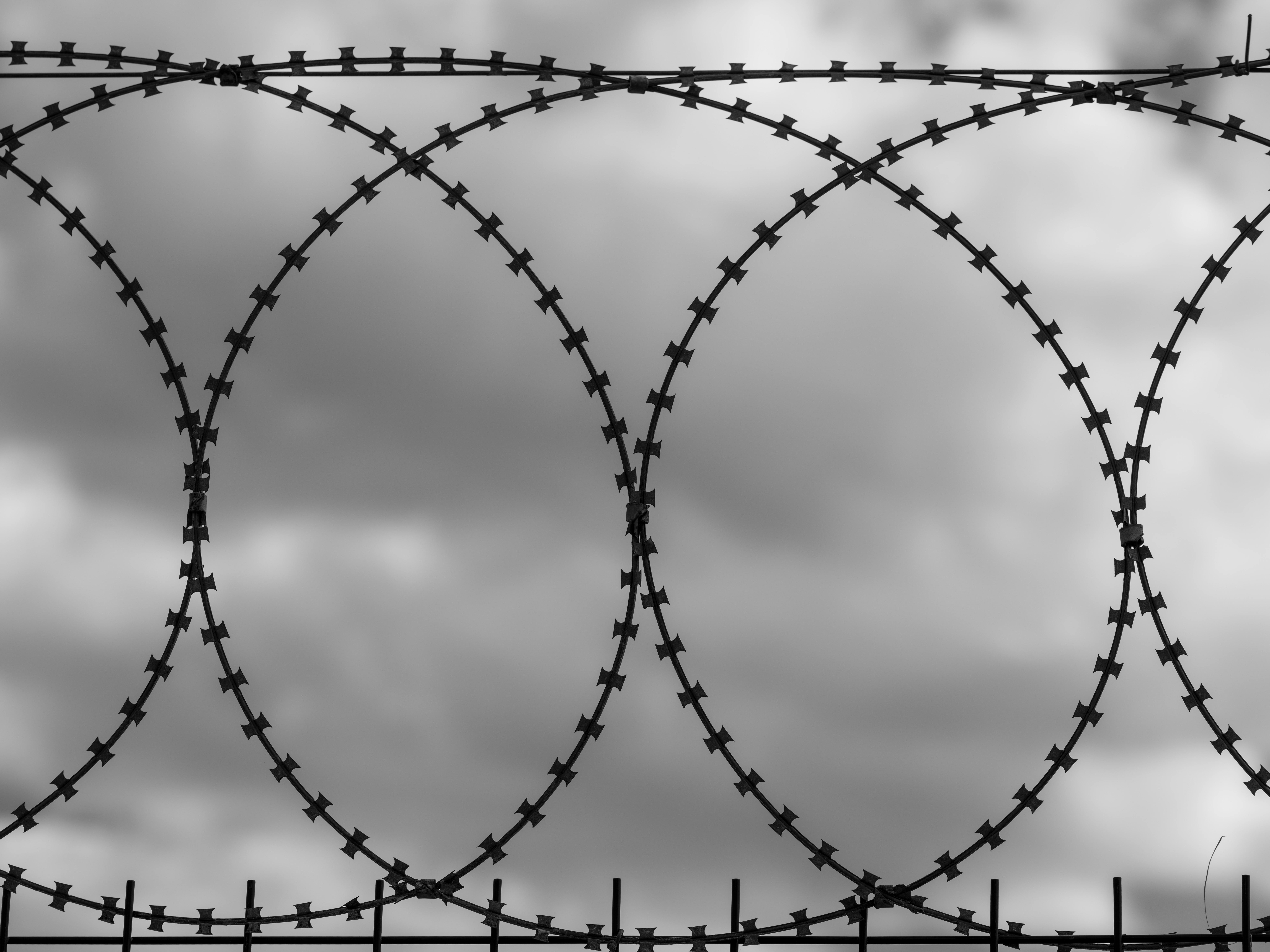 Hand on Barbed Wire · Free Stock Photo