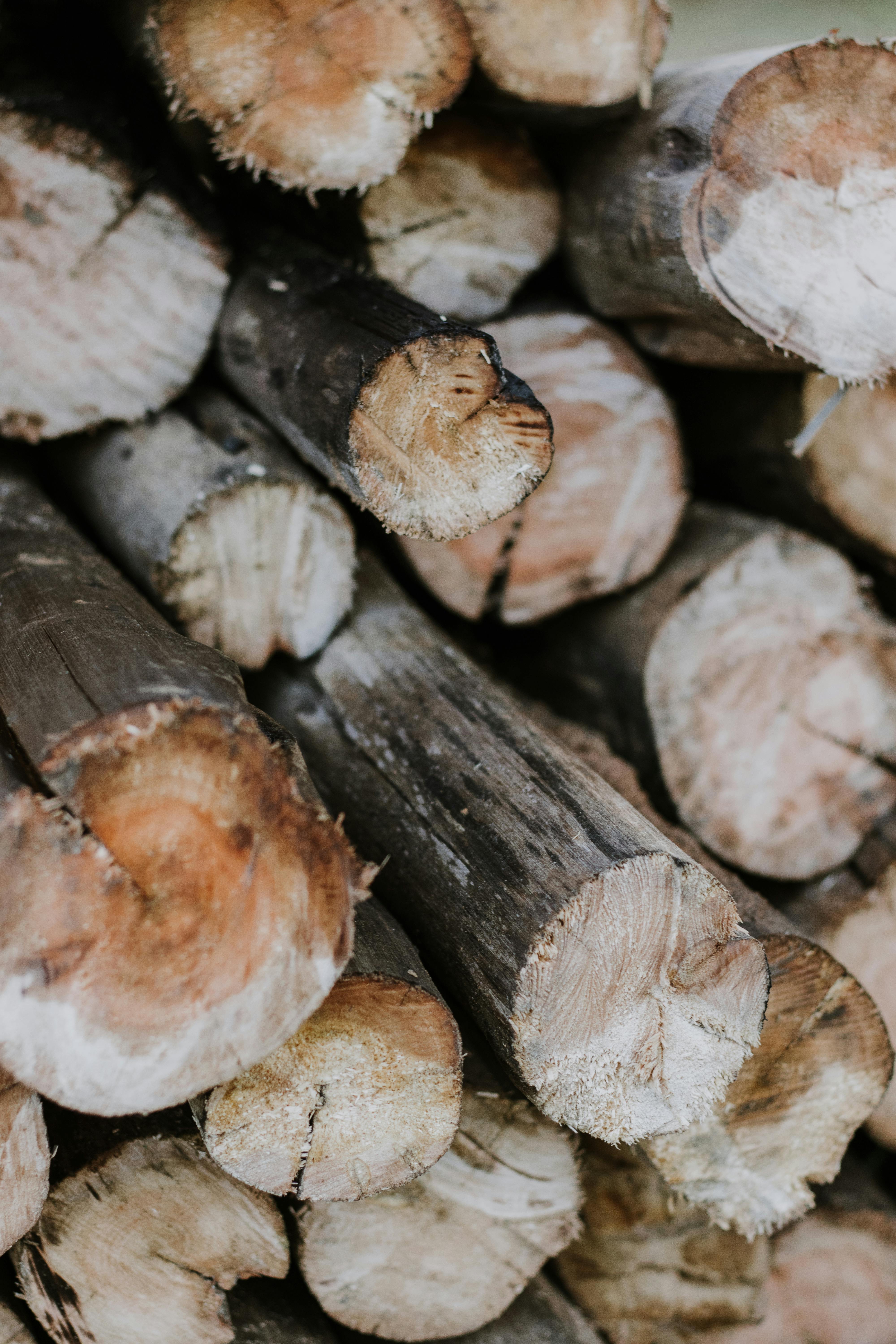 Close up of Wood Logs · Free Stock Photo