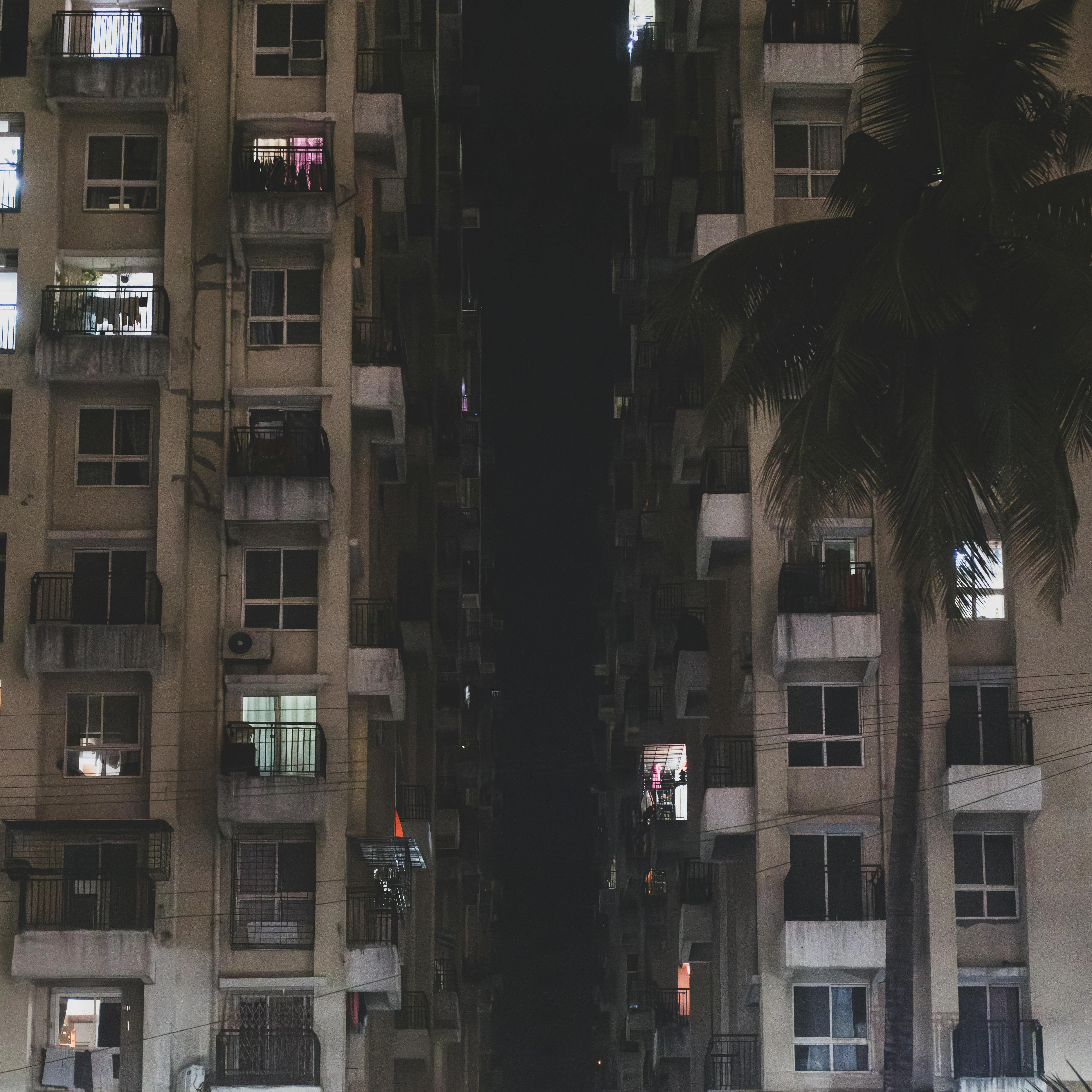 Palm Tree near Blocks of Flats at Night · Free Stock Photo