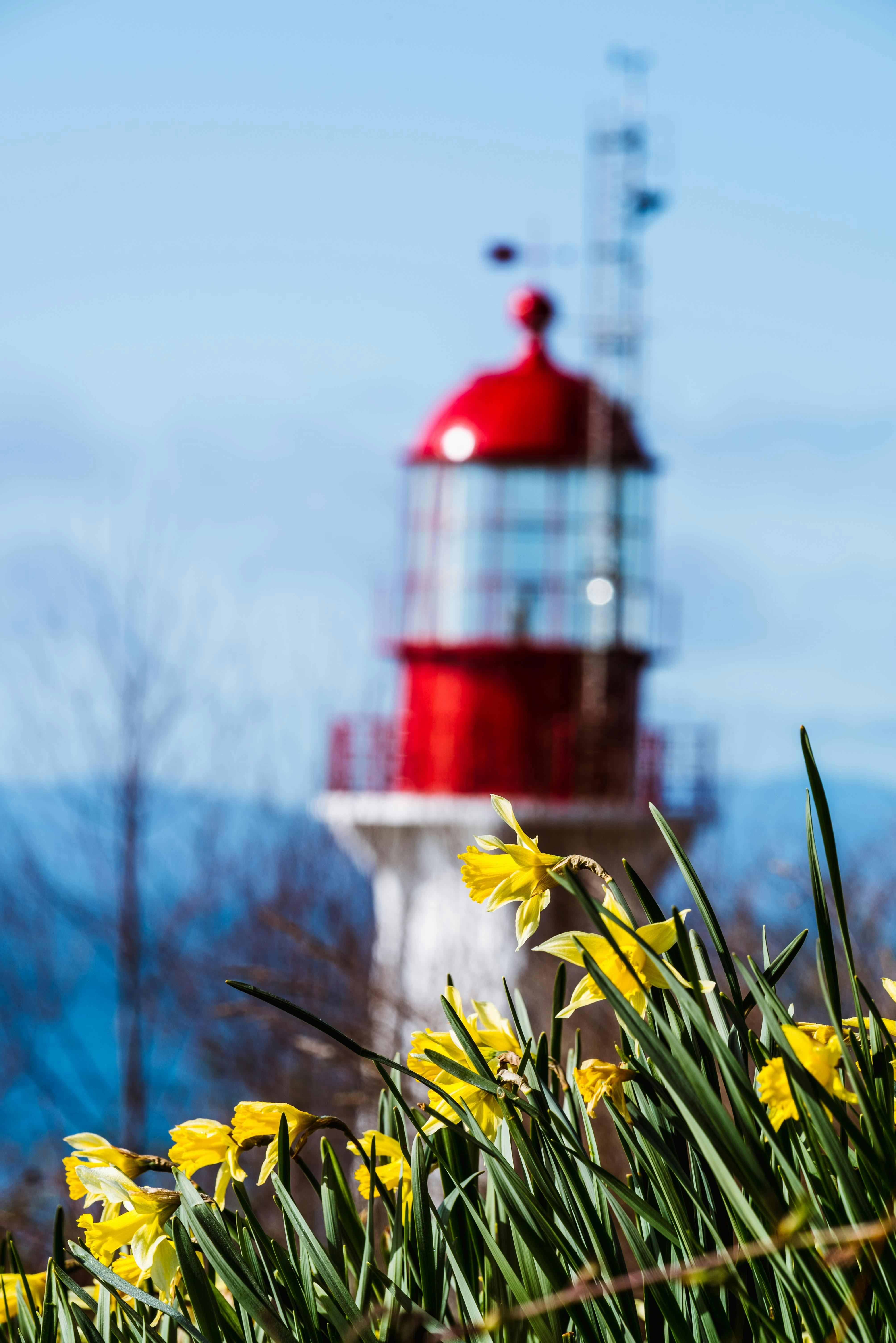 Red Lighthouse · Free Stock Photo