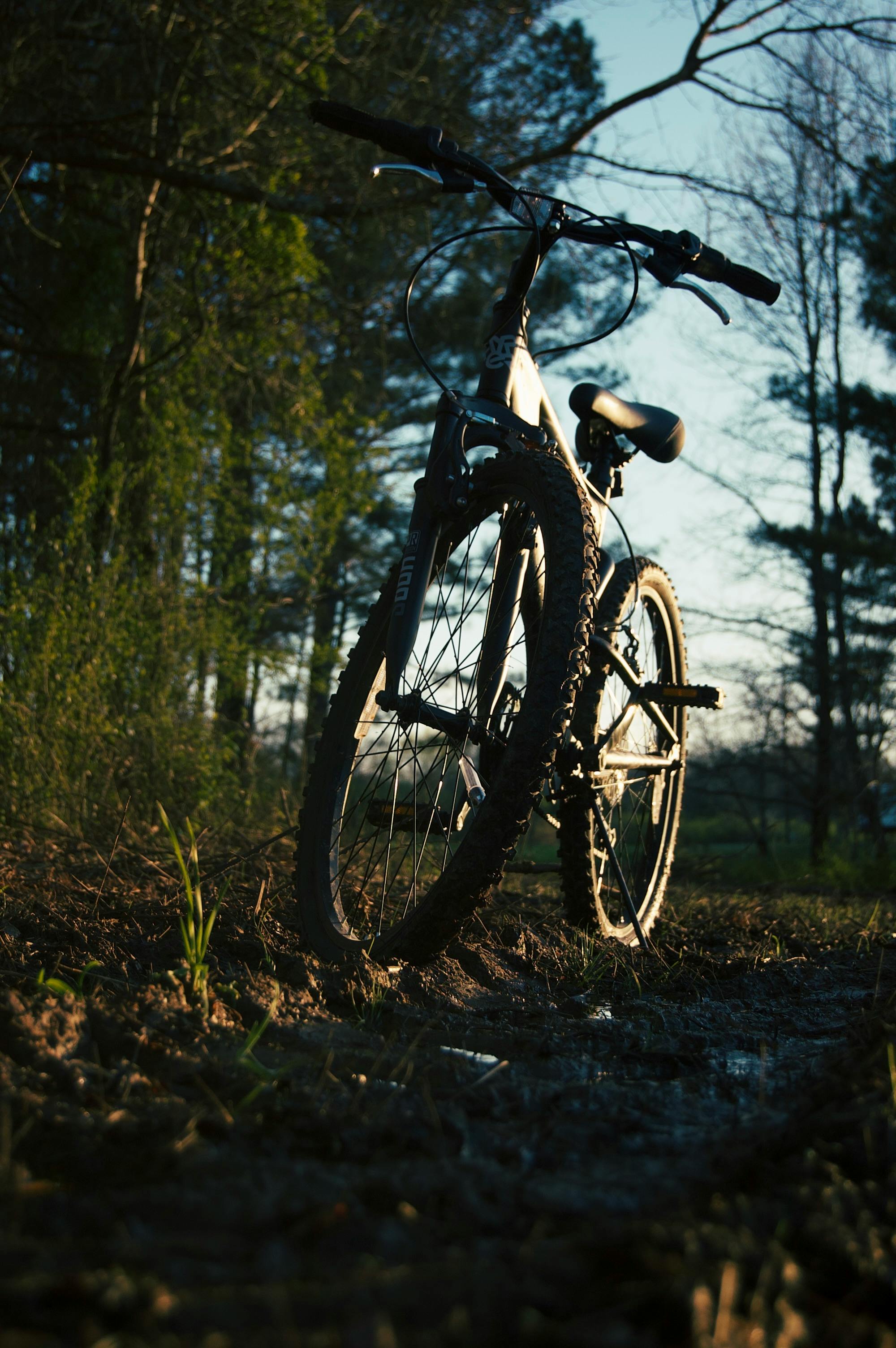 Mud Lab Photos, Download The BEST Free Mud Lab Stock Photos & HD Images