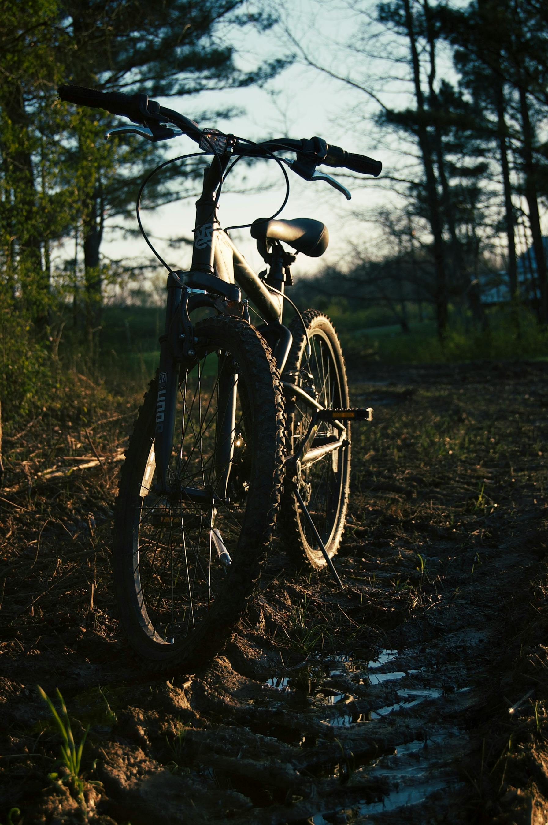 Bicycle in Countryside · Free Stock Photo