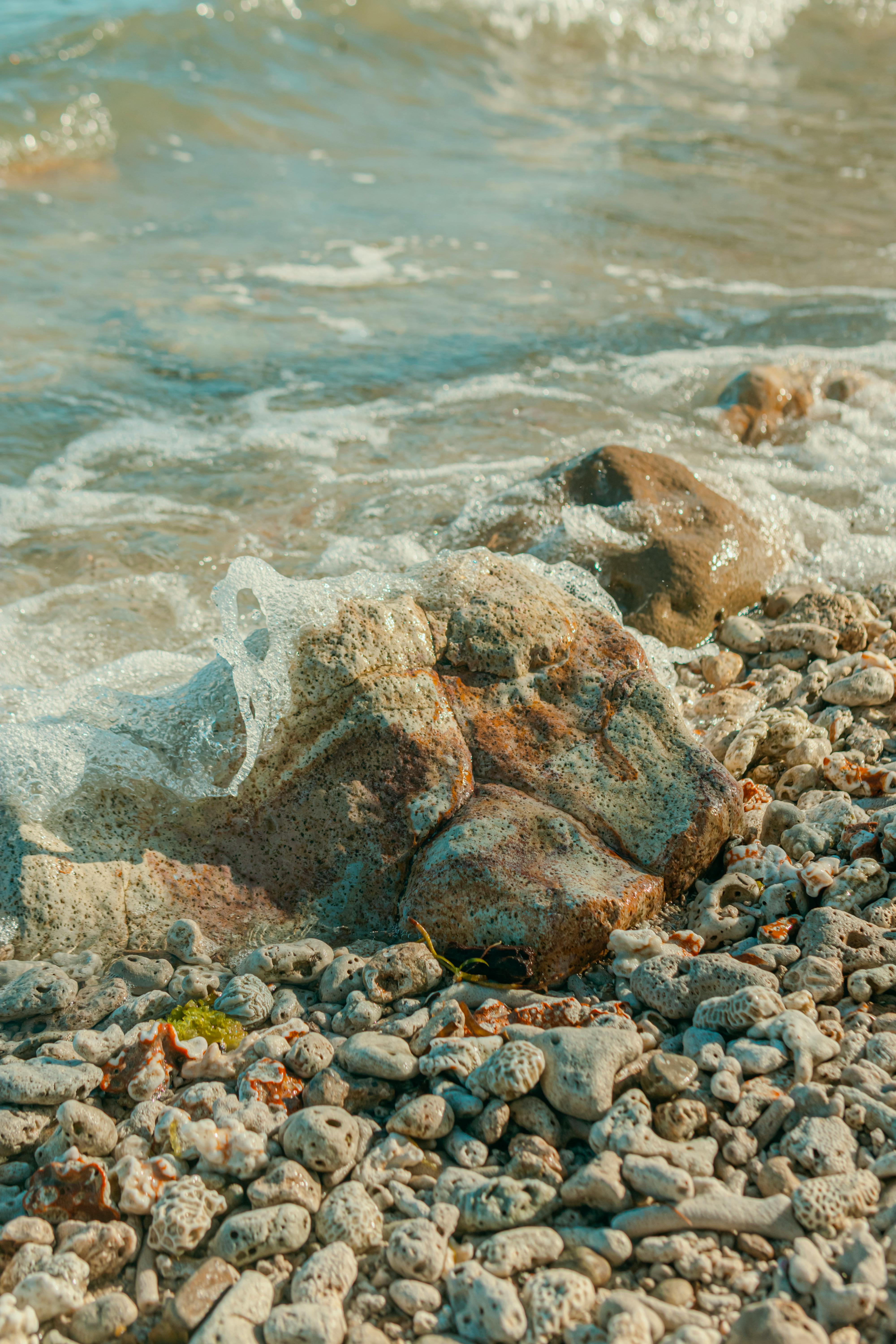 A beach with rocks and water · Free Stock Photo
