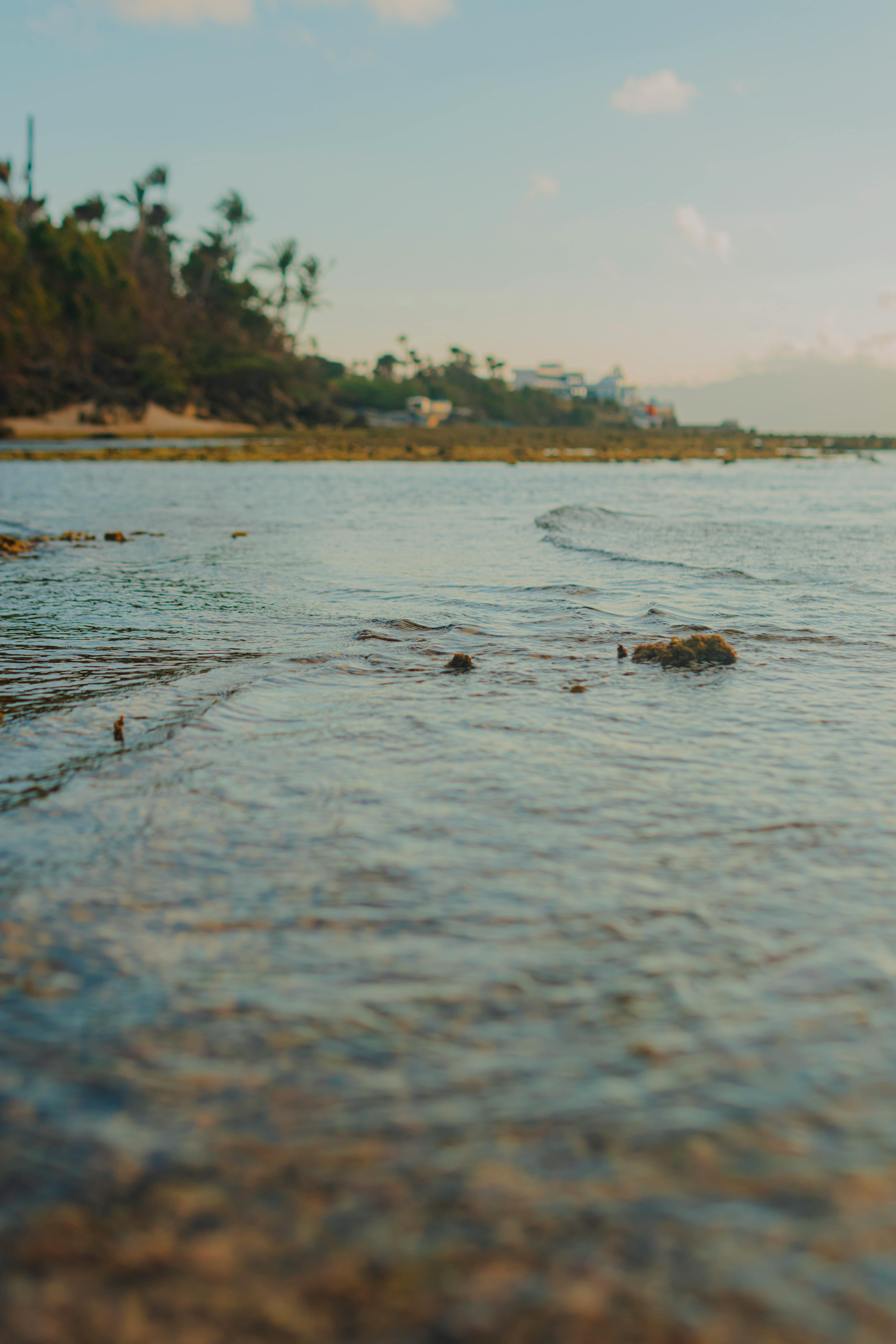 Shallow Water on Shore · Free Stock Photo