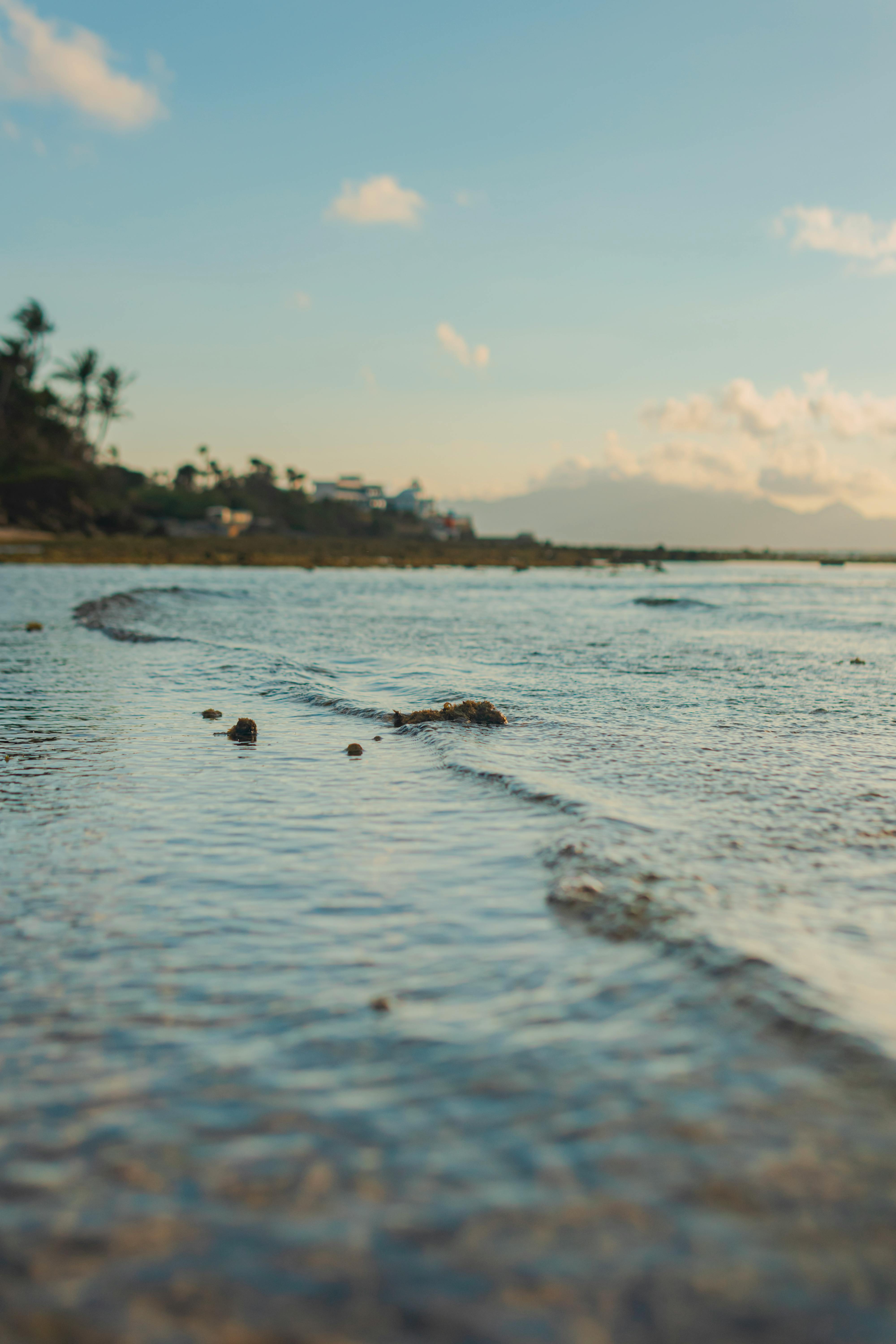 Shallow Water on Sea Shore · Free Stock Photo