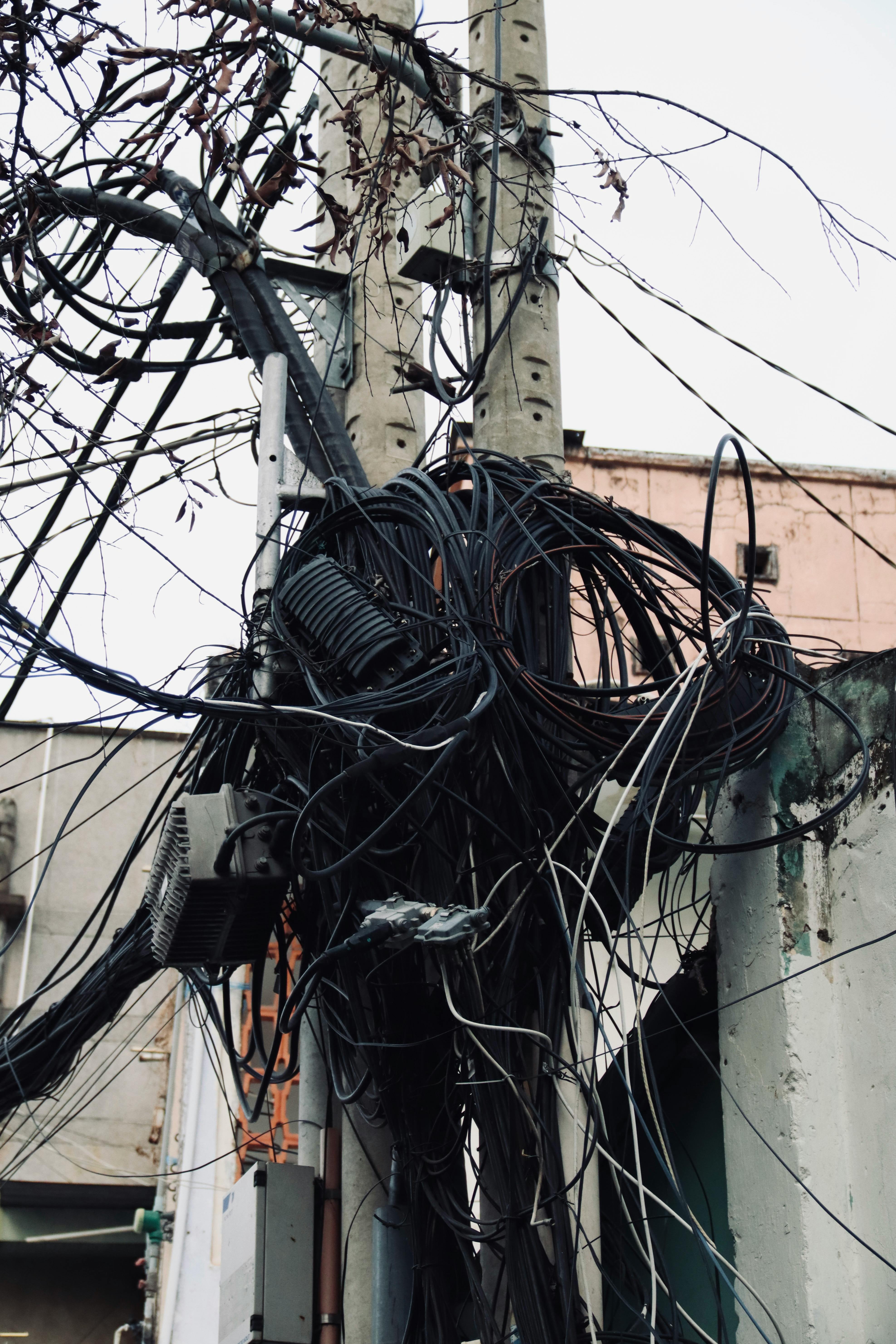 A Character Holding A Tangled Mess Of Wires Photos, Download The BEST ...