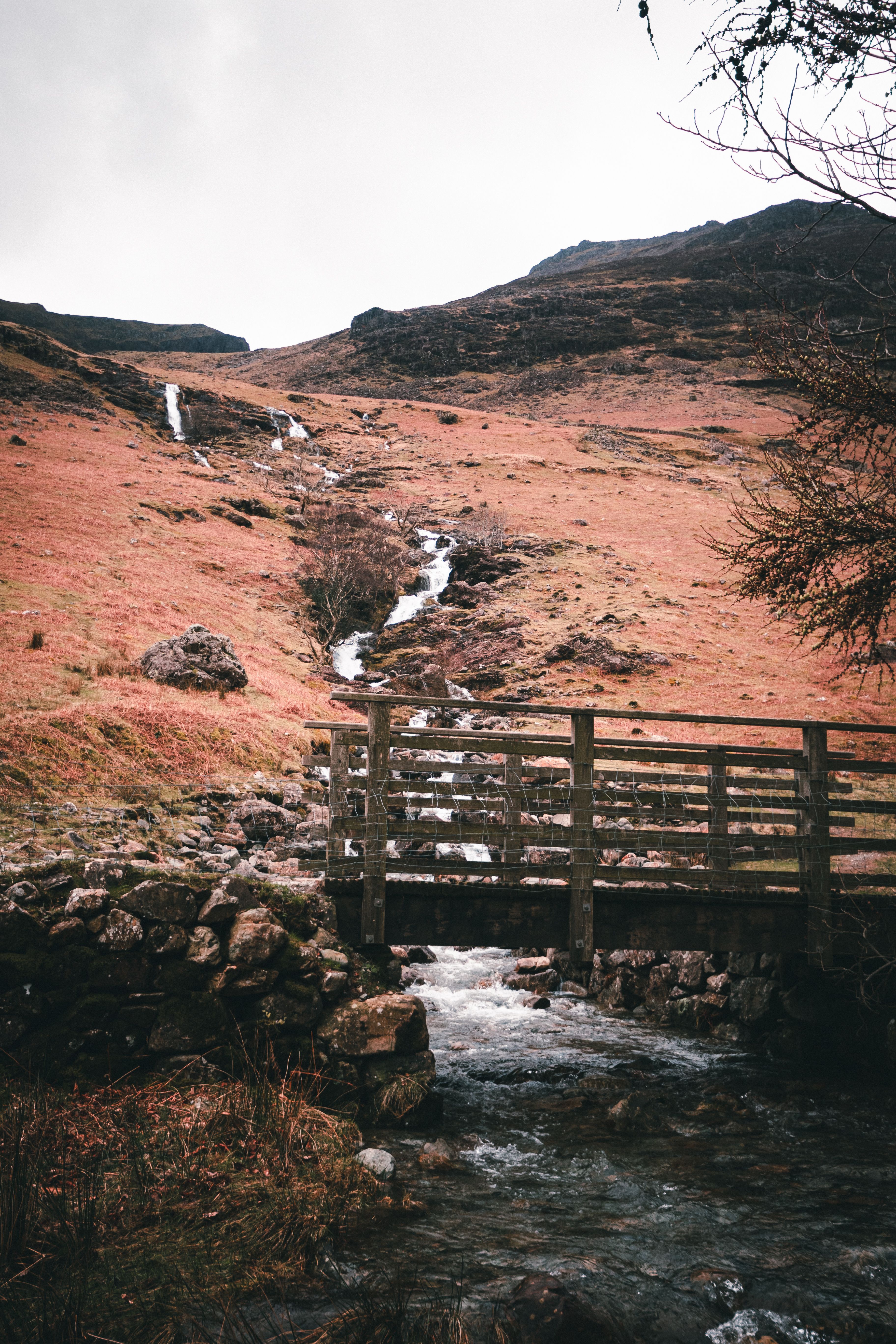 Footbridge on Stream in Countryside · Free Stock Photo