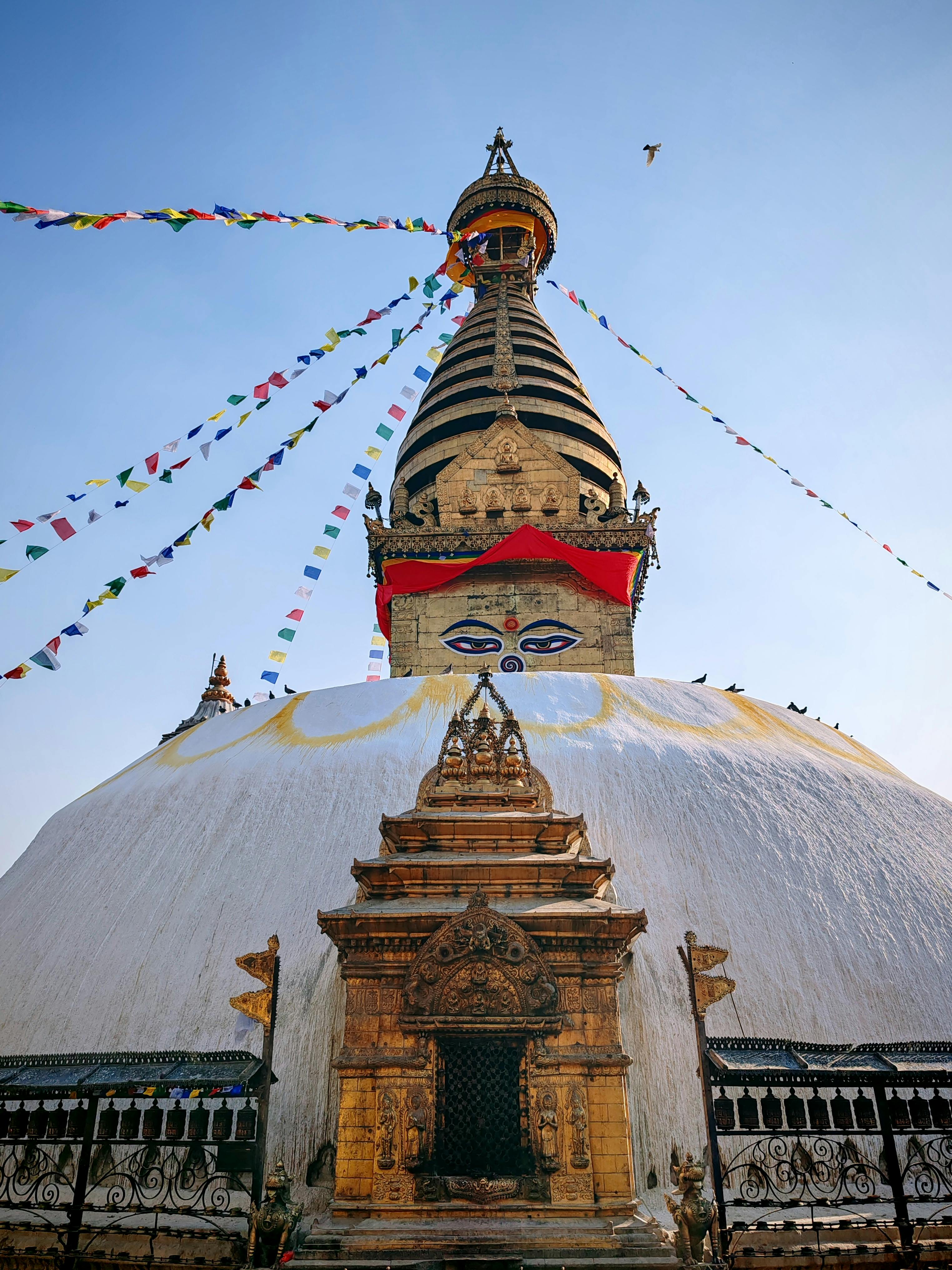 Drift Shutterbug - Photography