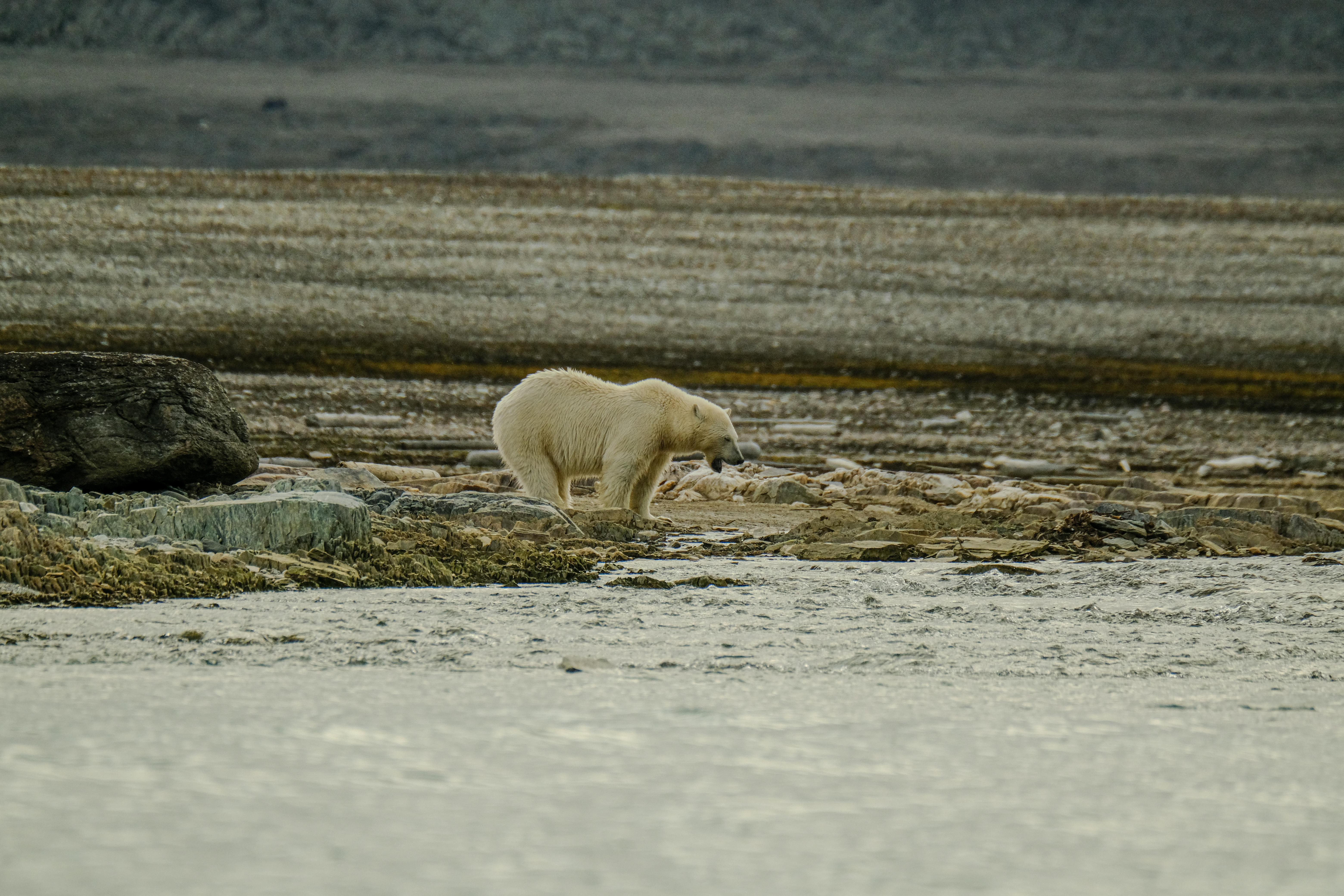 Camera Taken Photos, Download The BEST Free Camera Taken Stock Photos ...