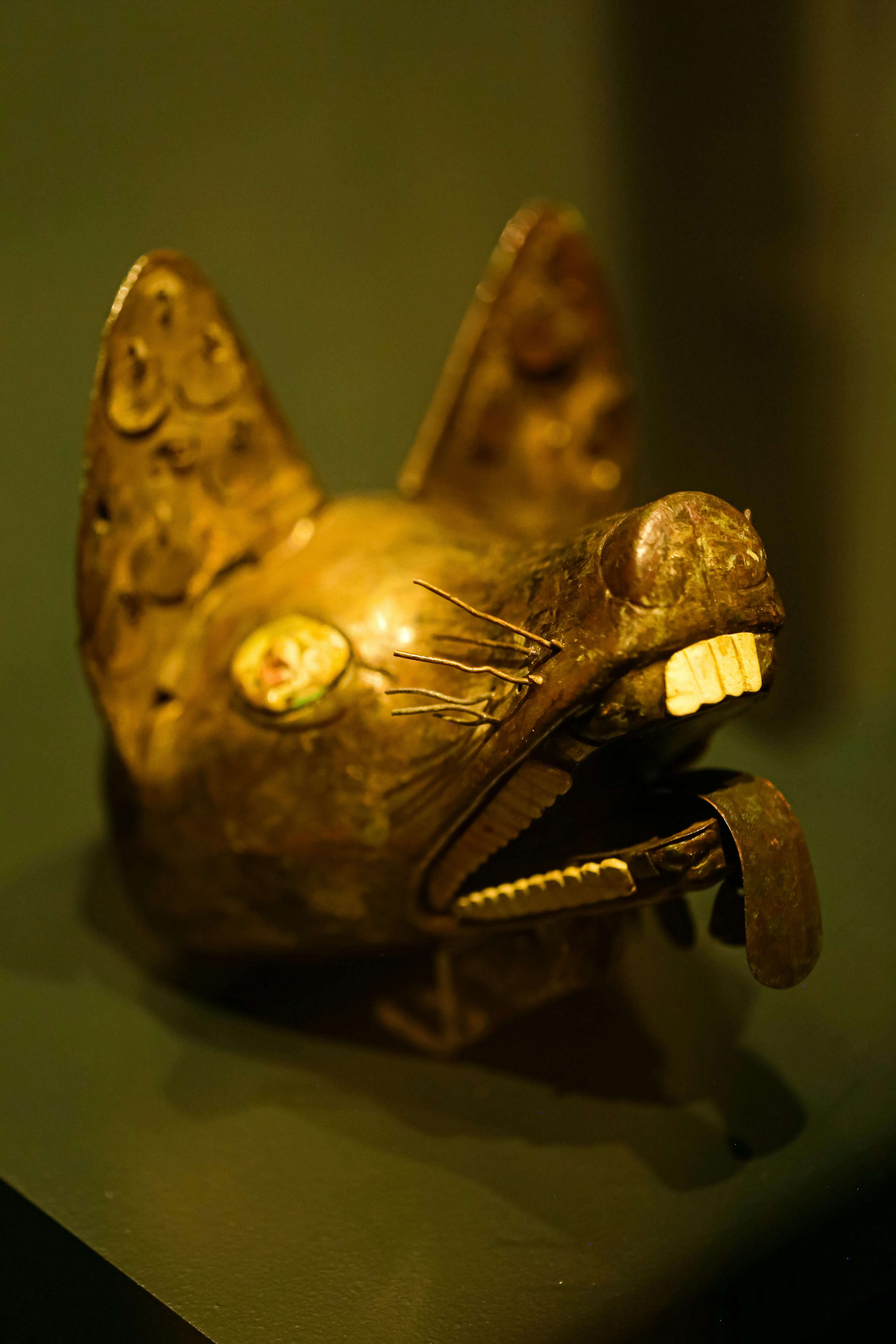 Golden Animal Head in Museum · Free Stock Photo