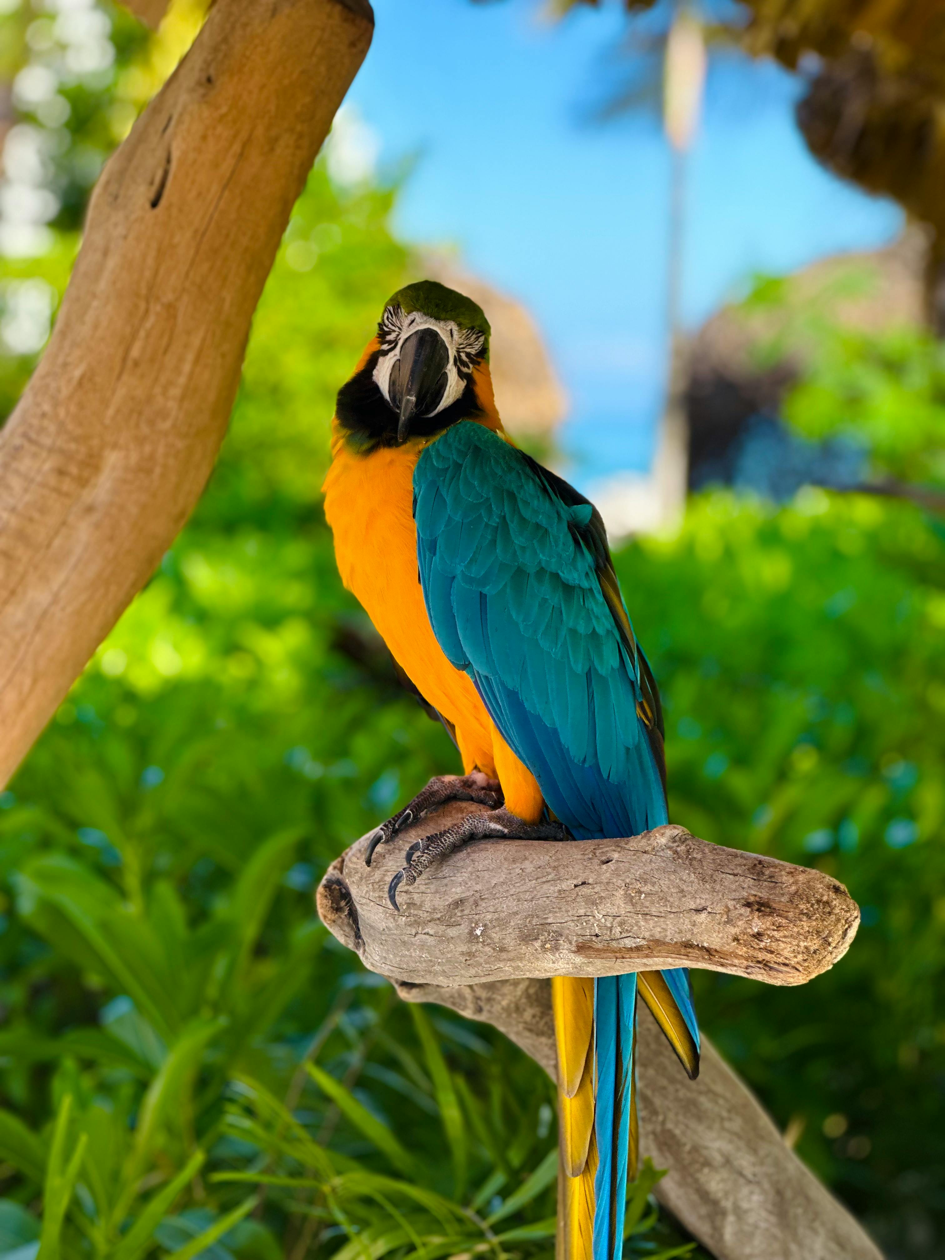 Gramily – Fotografia