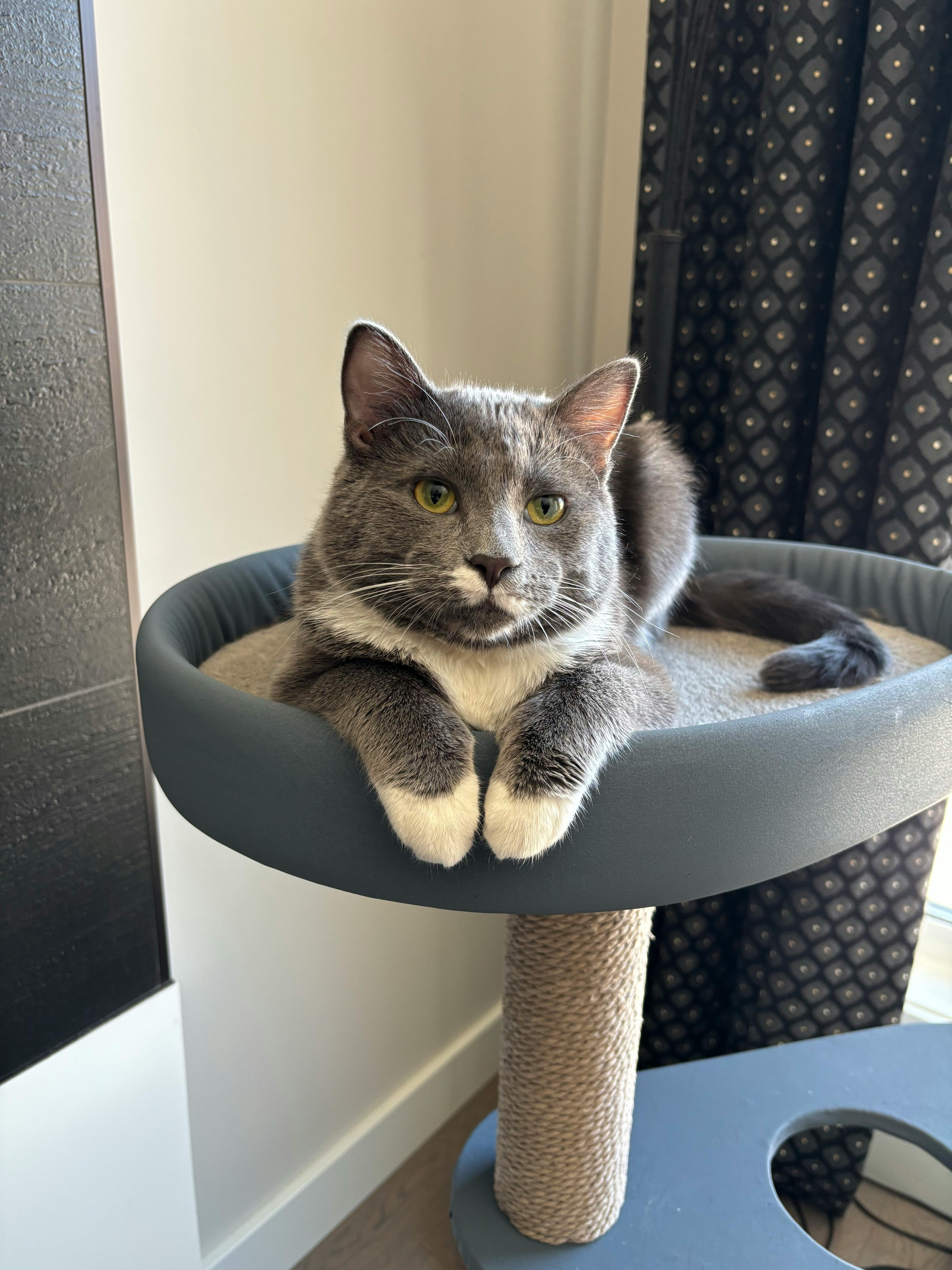 Giovanni Spoletini - Photography