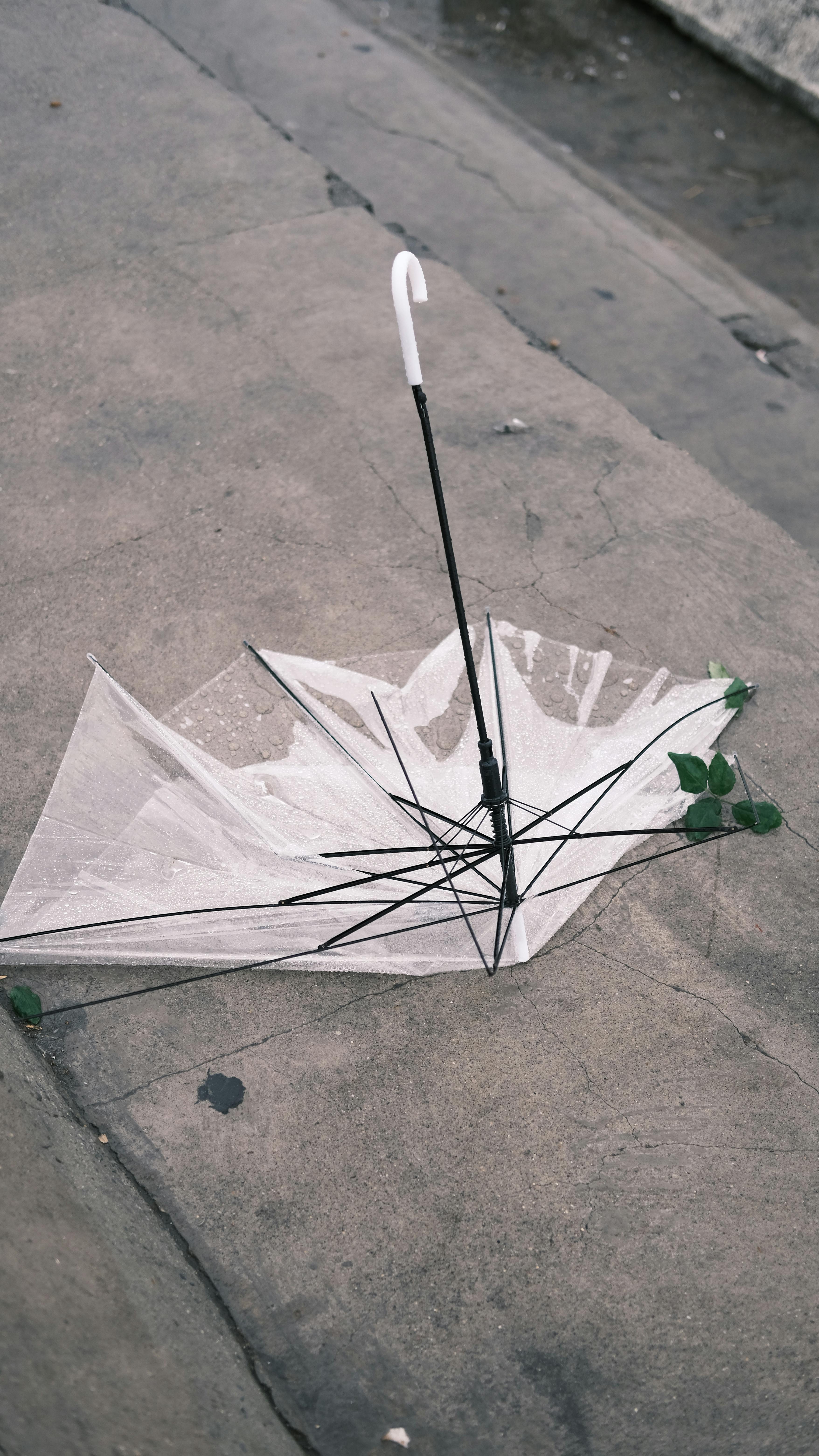 A Transparent Broken Umbrella Lying on the Ground · Free Stock Photo