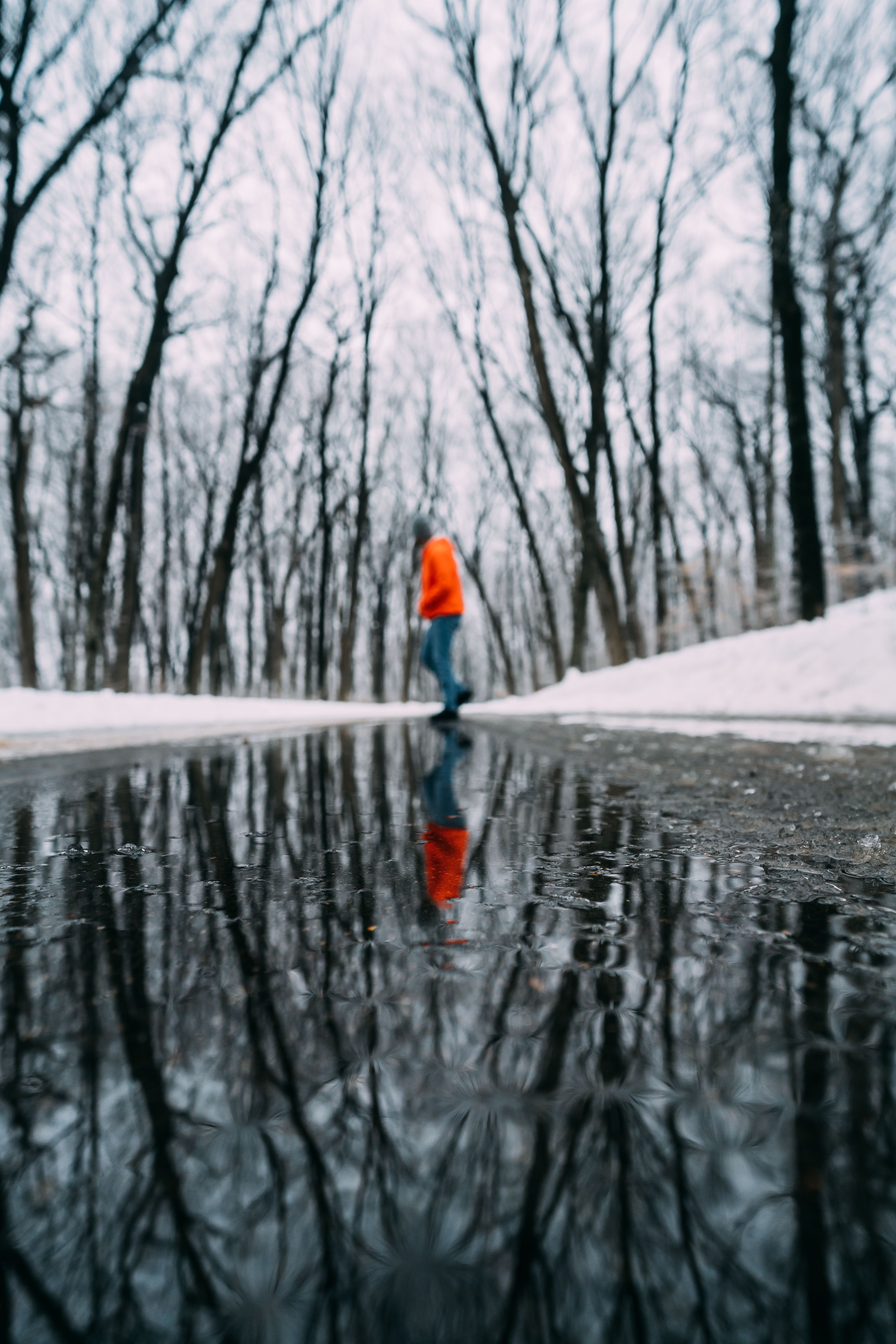 Person Wearing Orange Jacket · Free Stock Photo