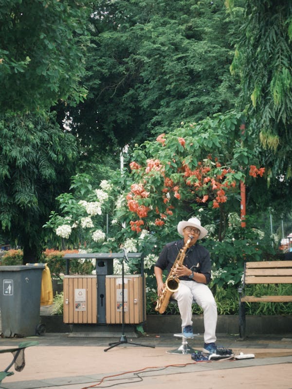 Street Musician Photos, Download The BEST Free Street Musician Stock ...