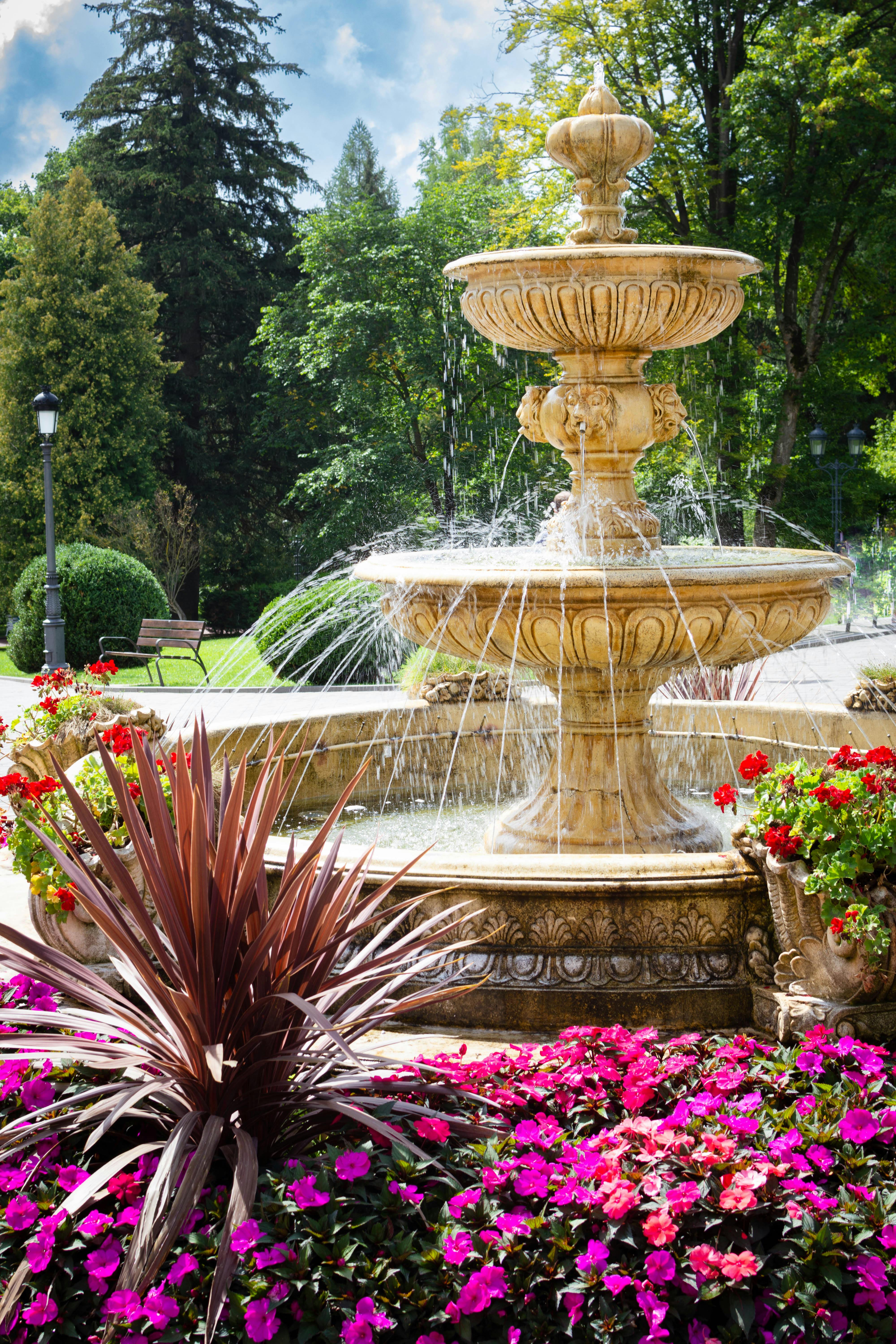 Pink Flowers around Fountain in Park · Free Stock Photo